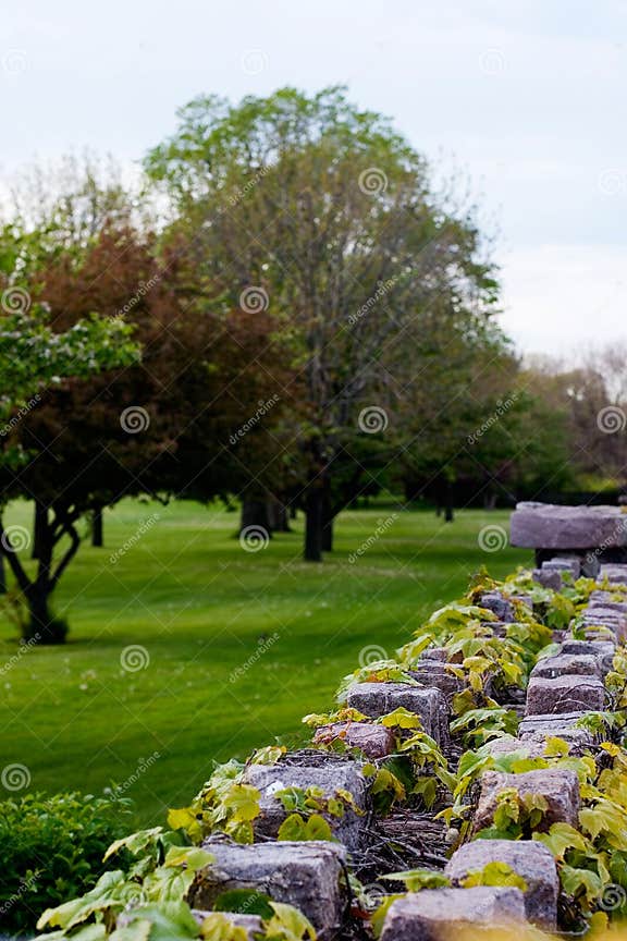 Stone wall and trees stock image. Image of leaf, plant - 3120037