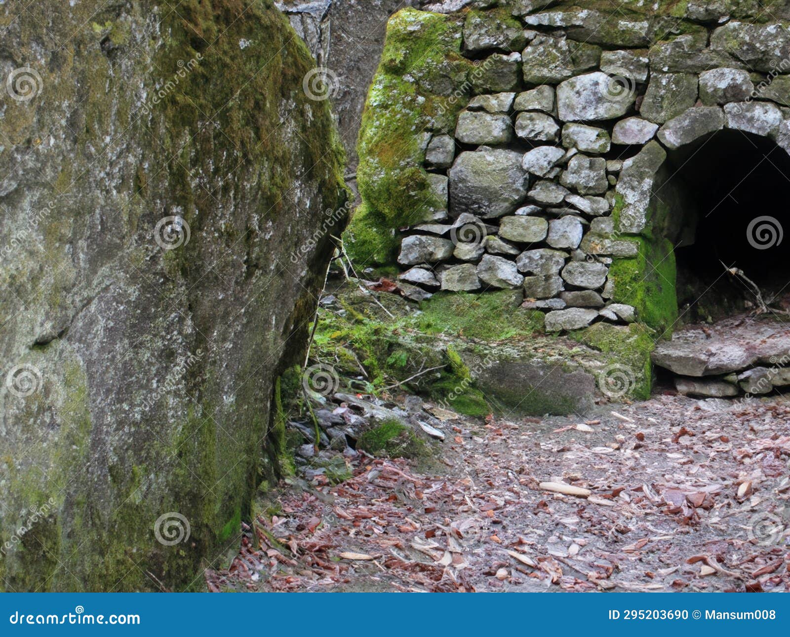 Stone Wall with a Tunnel in Forest Stock Photo - Image of structure ...