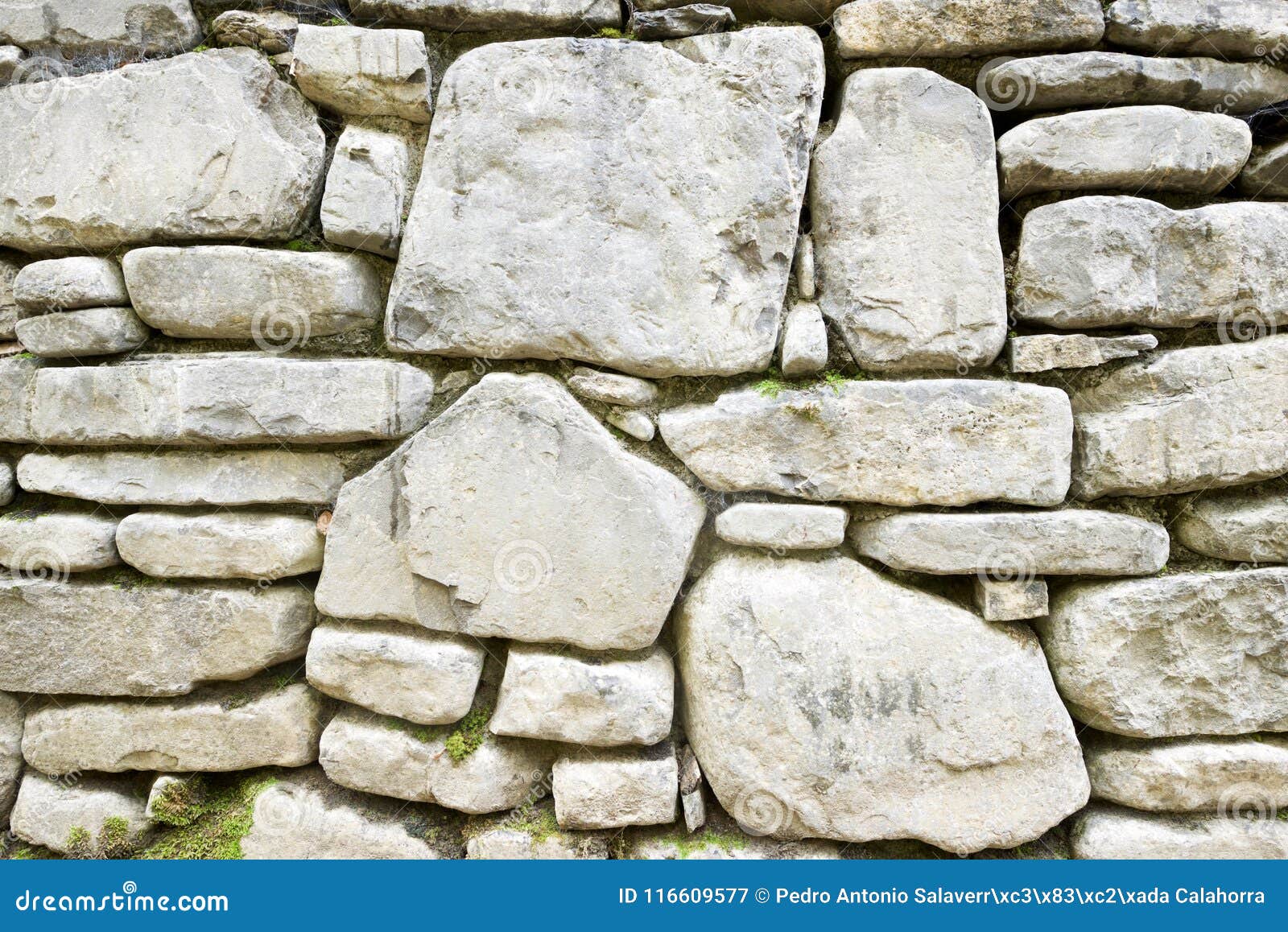 Stone wall view stock image. Image of nature, detail - 116609577
