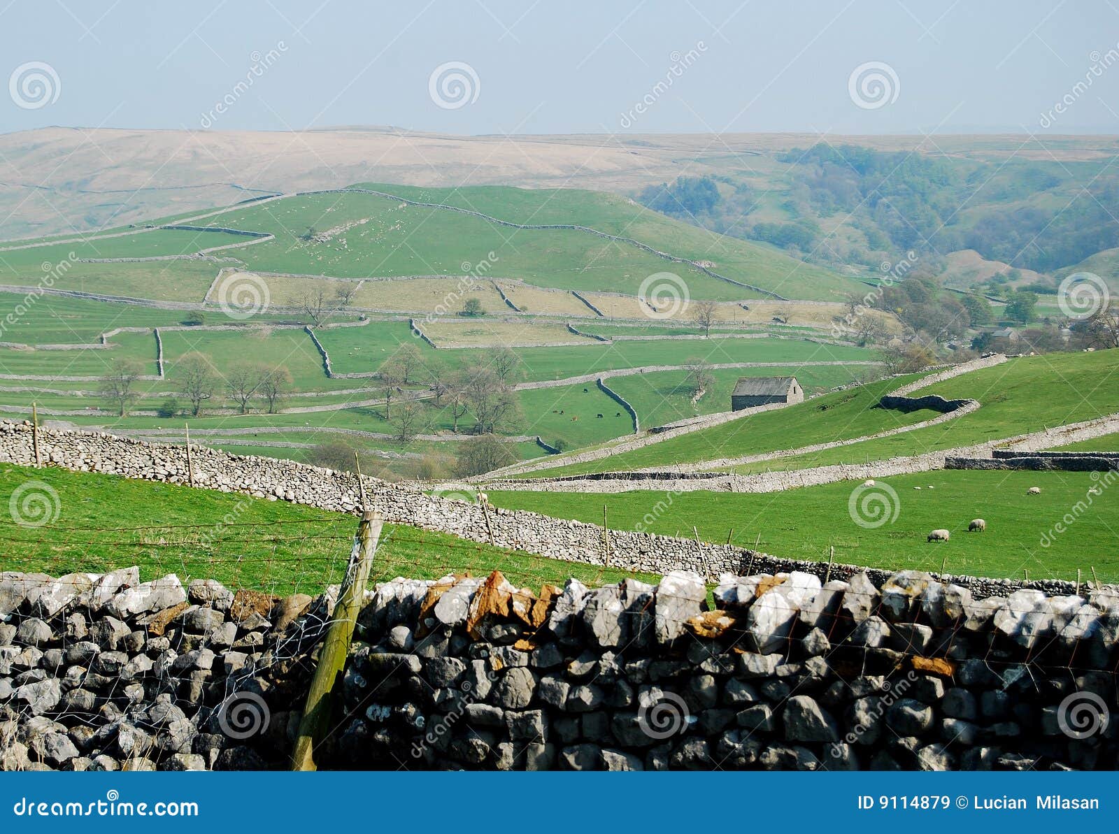 Stone Wall in Yorkshire Dales (UK) Stock Image - Image of hill, ancient ...
