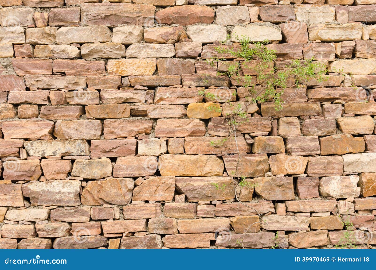 Stone walls, plants stock image. Image of design, shale - 39970469