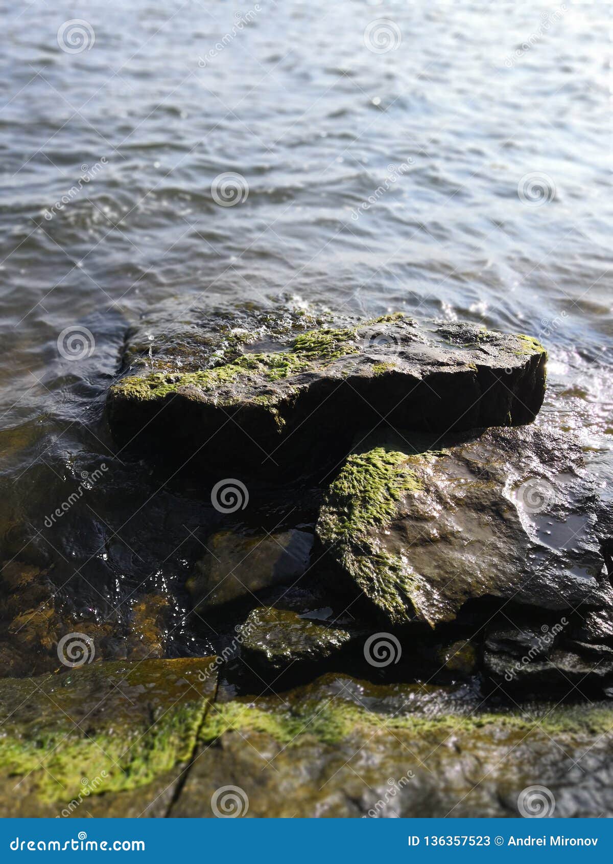 Stone in water stock image. Image of mosscovered, water - 136357523