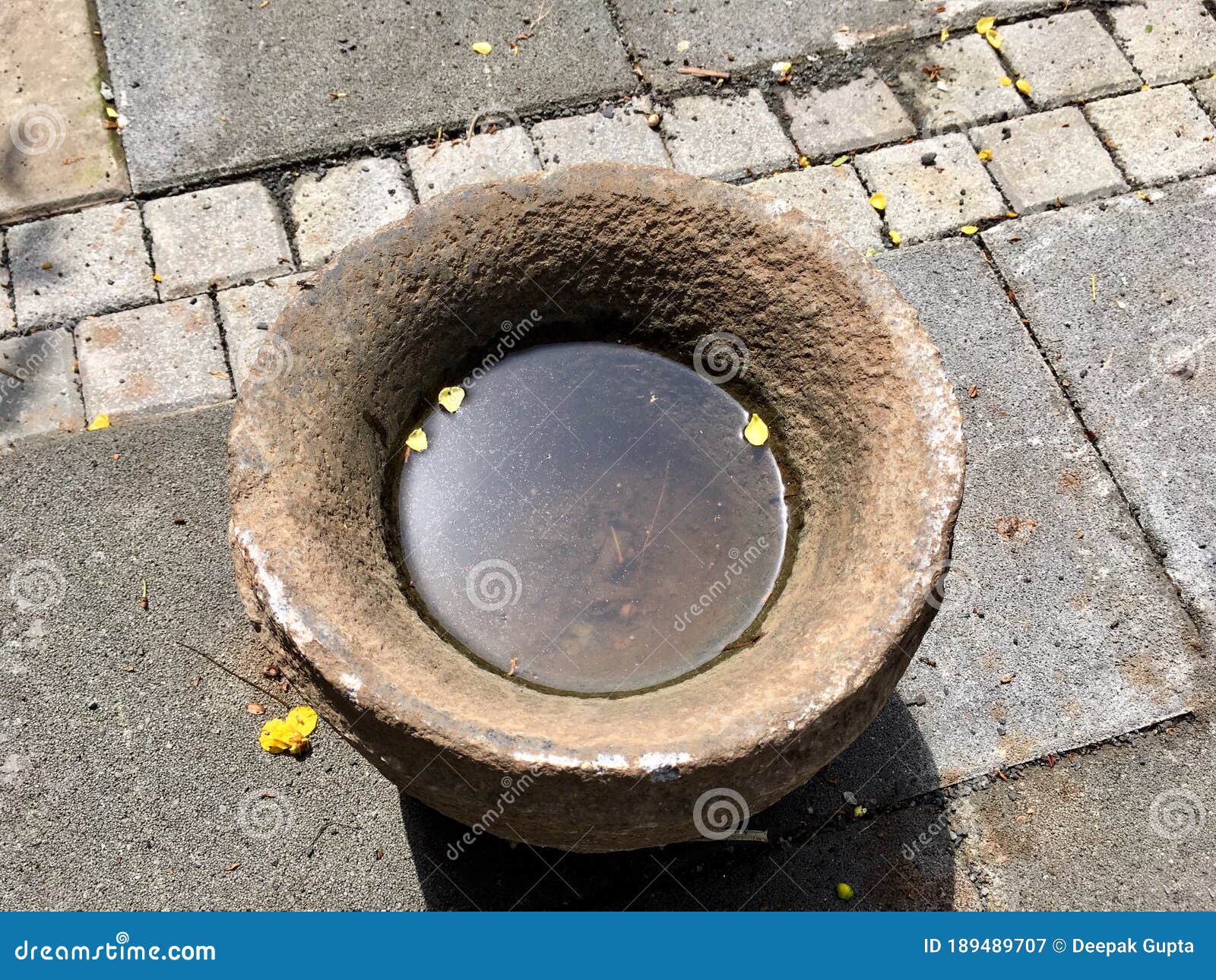 Stone water pot stock image. Image of birds, animals - 189489707