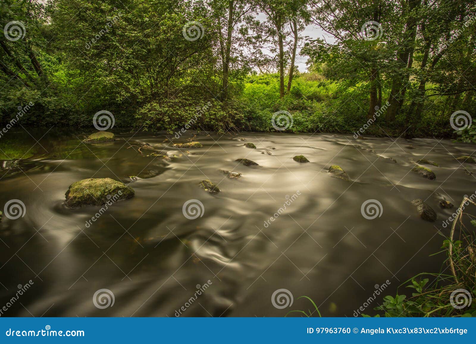 Stone and Water in a Small Brook Stock Photo - Image of creek ...
