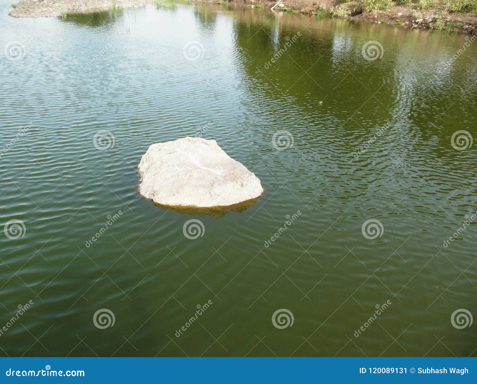 Stone in Water stock image. Image of water, white, stone - 120089131