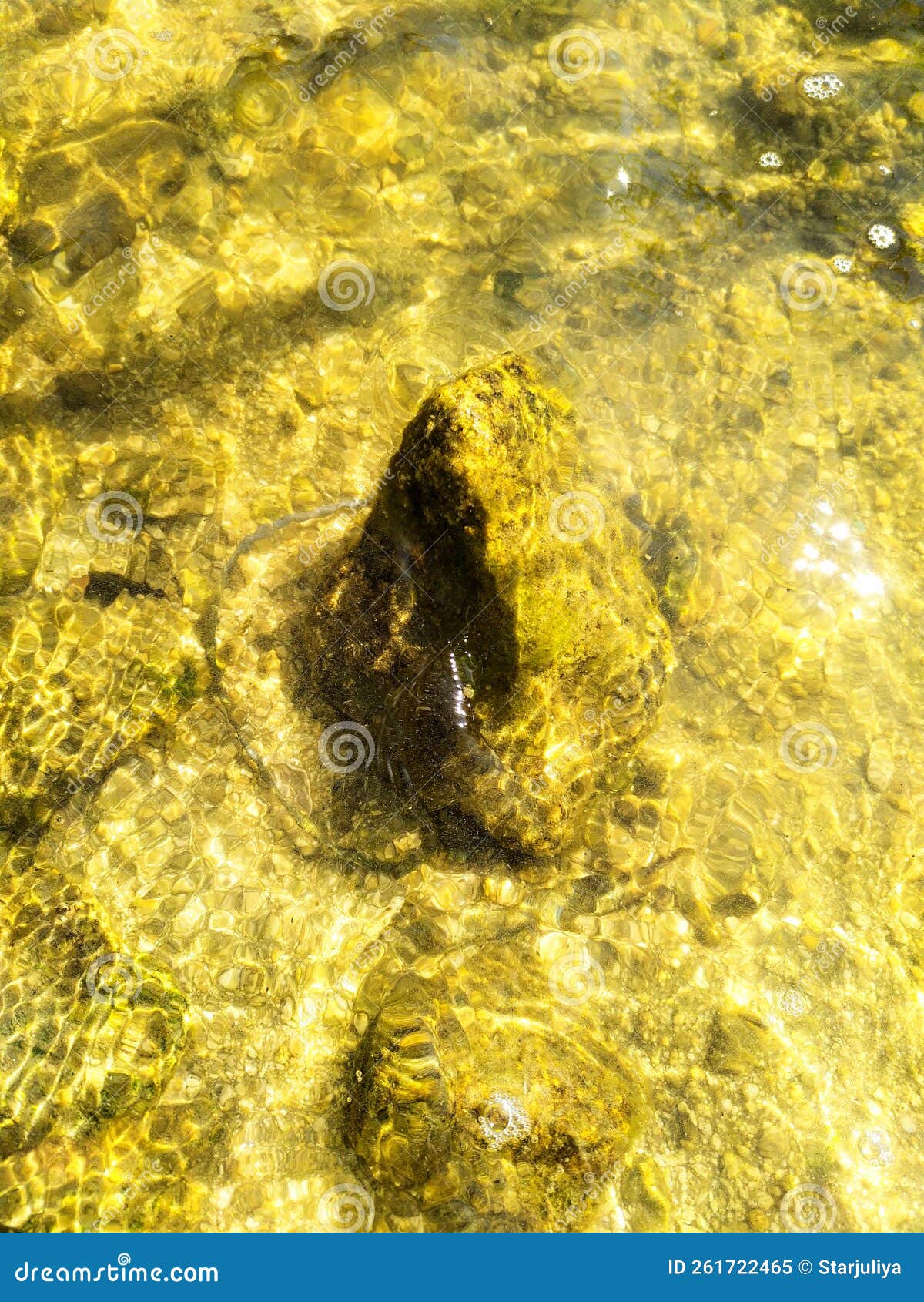 A stone in the water stock image. Image of stone, water - 261722465