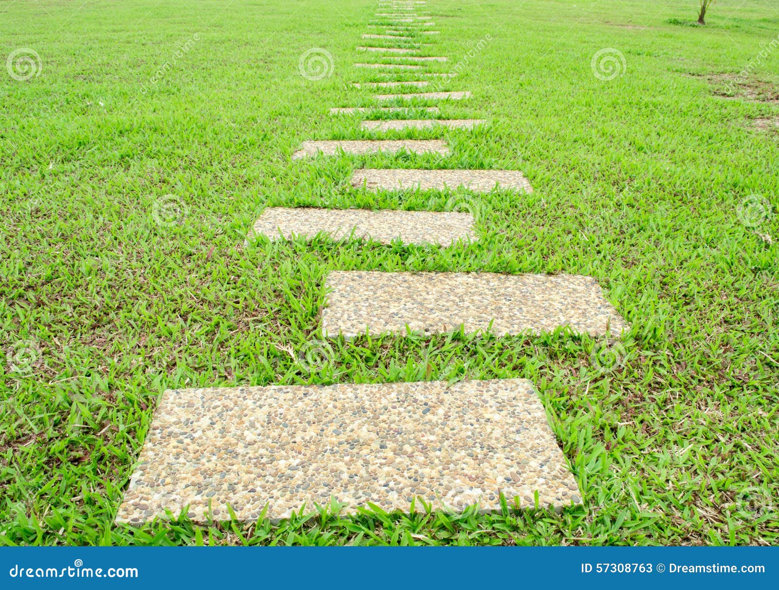 Stone way stock image. Image of outdoor, plant, walk - 57308763