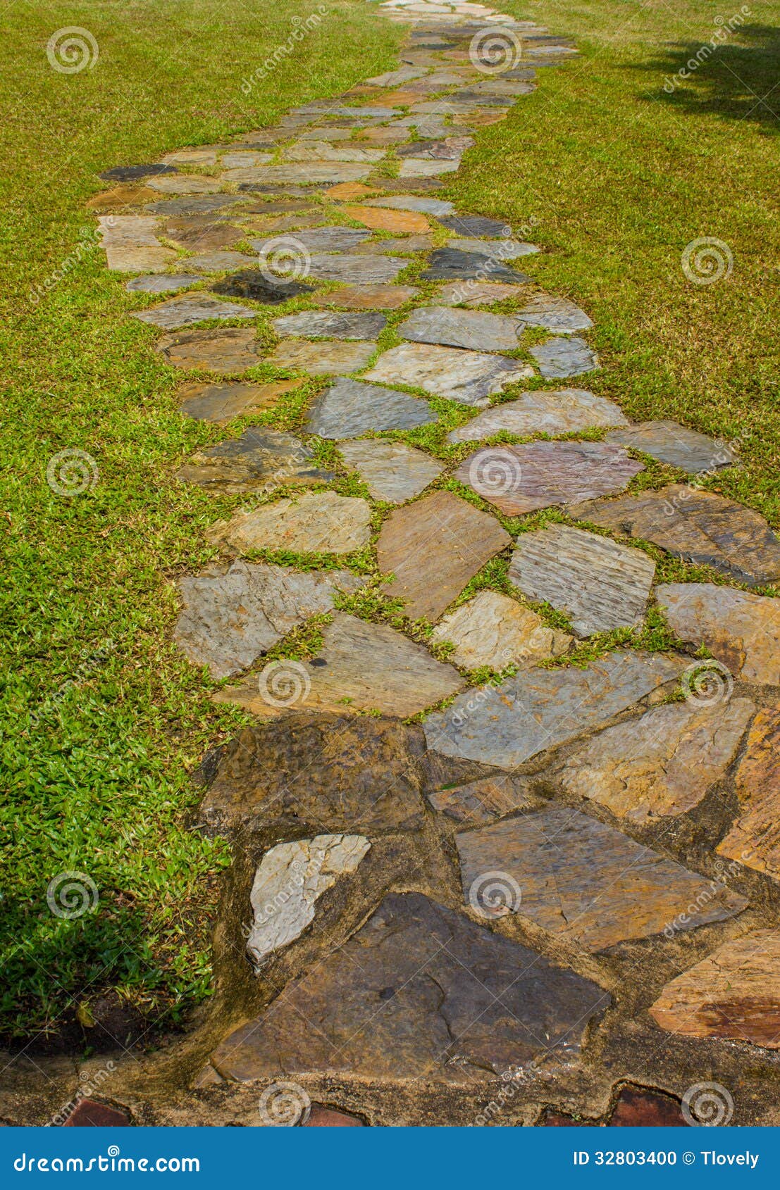 Stone way stock photo. Image of fresh, nature, country - 32803400