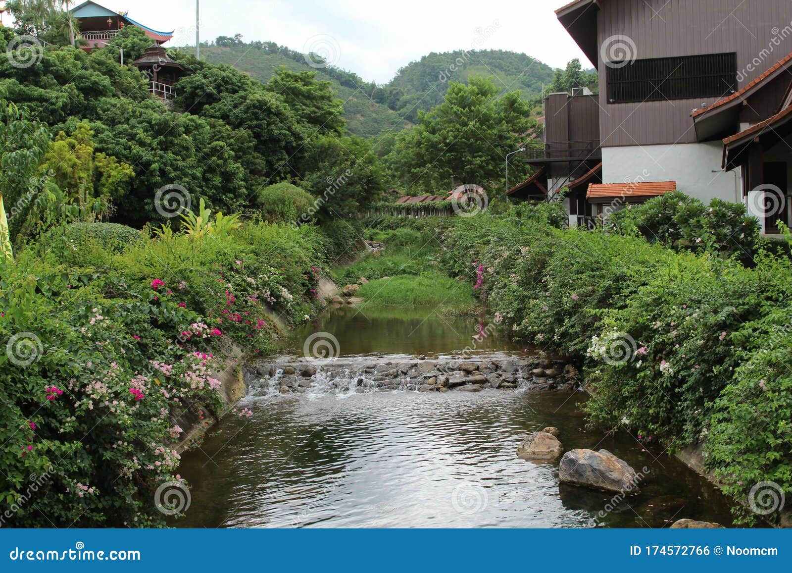 Stone weir on a stream stock photo. Image of rural, step - 174572766
