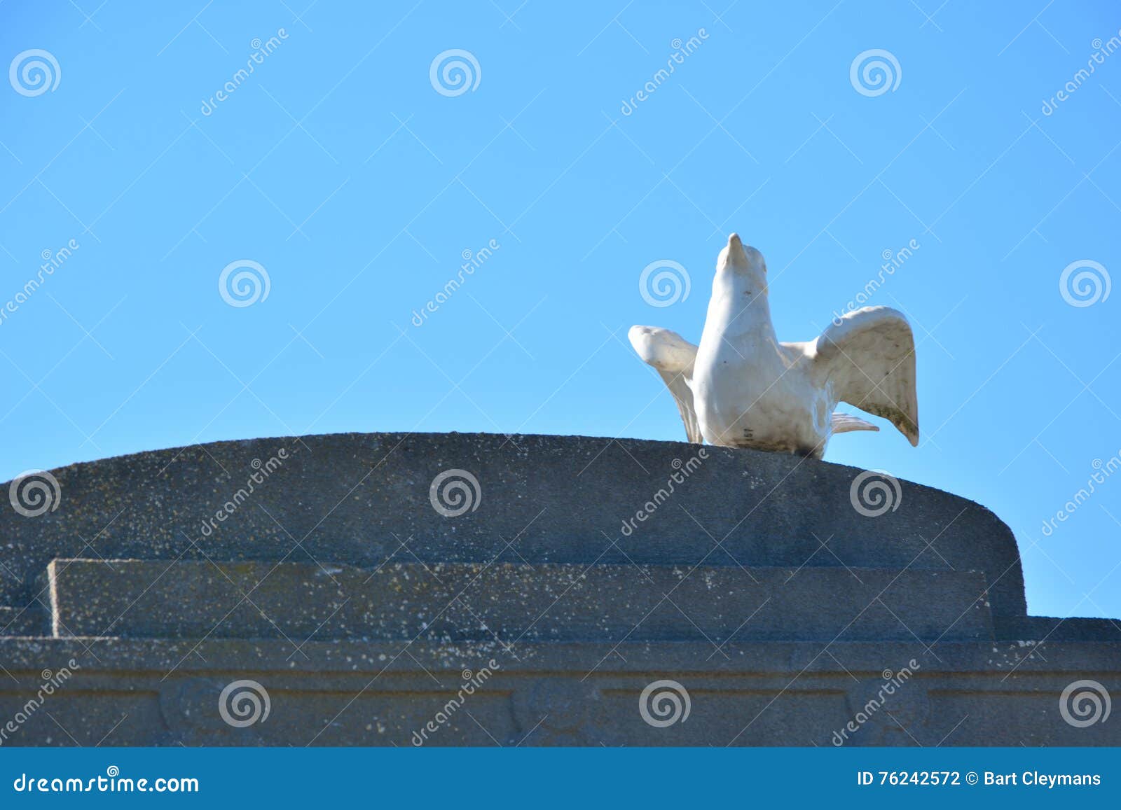 Stone white peace pigeon stock photo. Image of wall, clear - 76242572