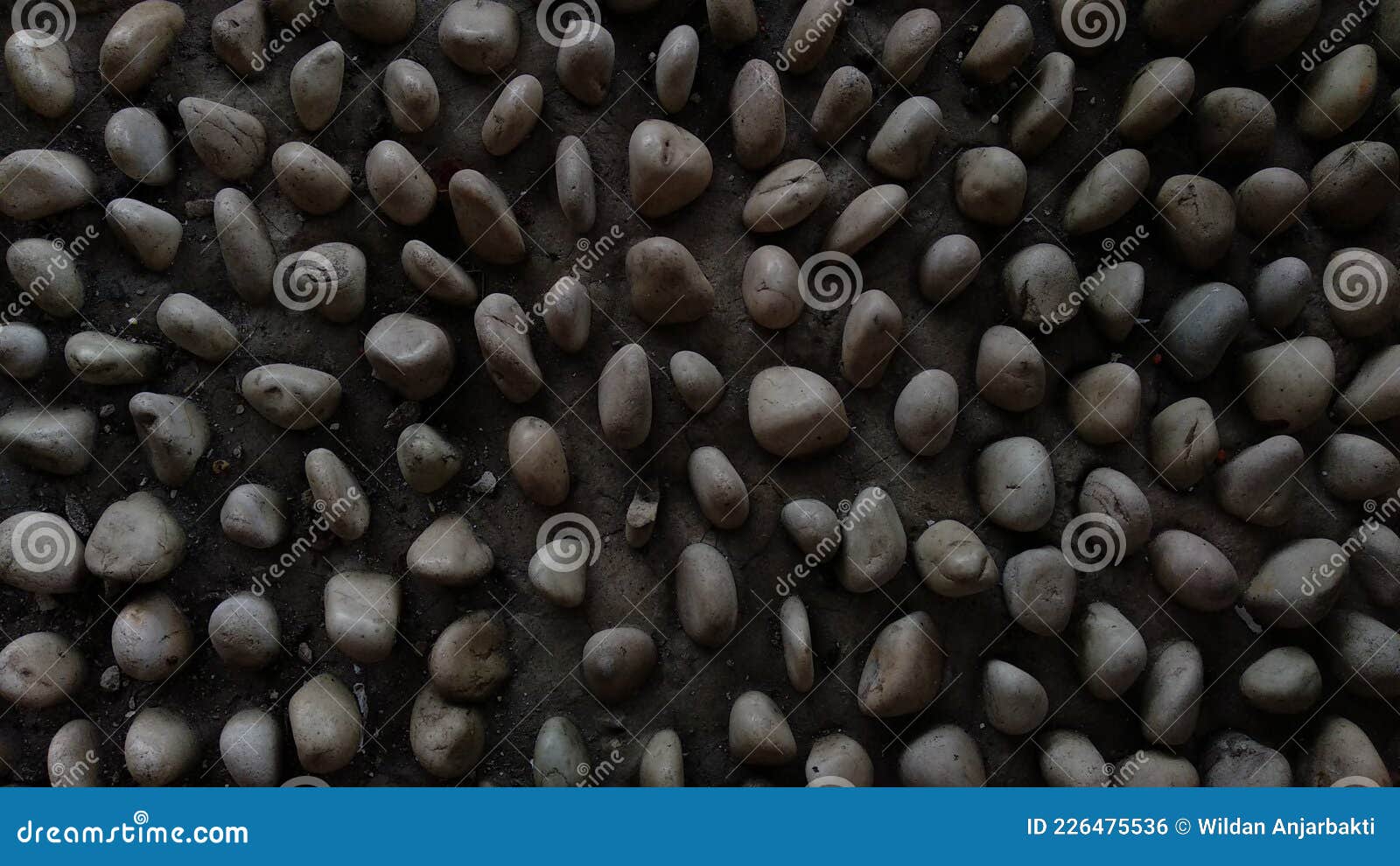 Stone White Rocks Tooth Wallpaper Stock Photo - Image of wood, leaf ...