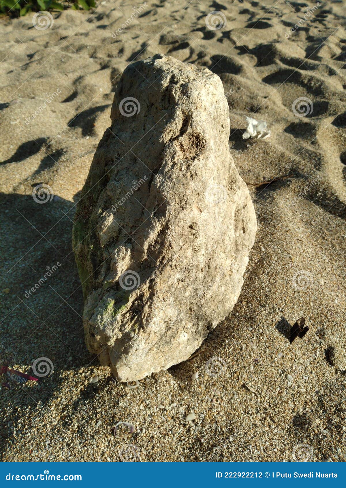The stone and white sand stock photo. Image of tree - 222922212