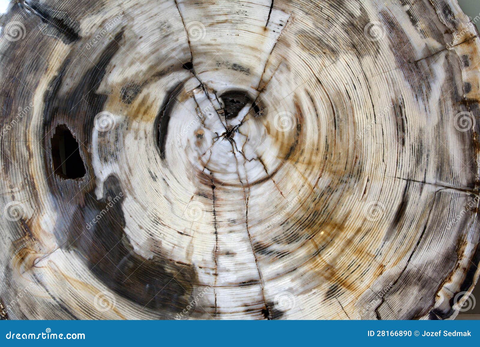 Stone wood stock photo. Image of background, years, year - 28166890