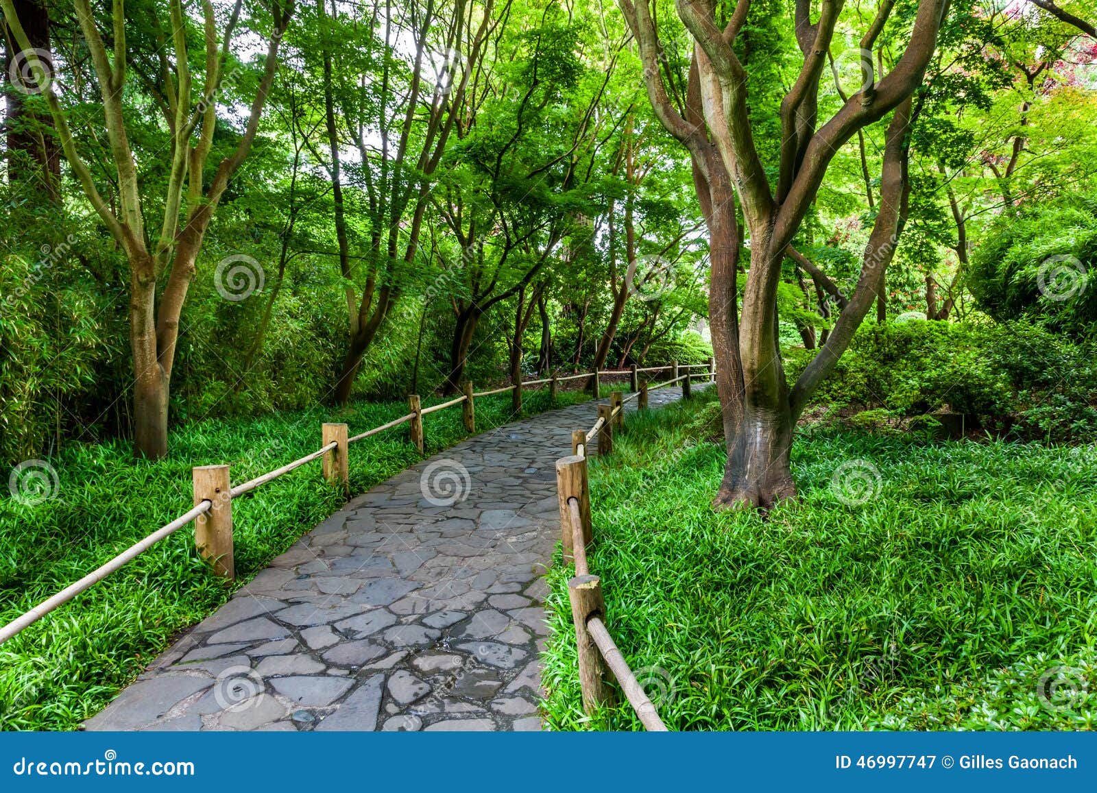 Stoned pathway stock image. Image of bamboos, relaxing - 46997747