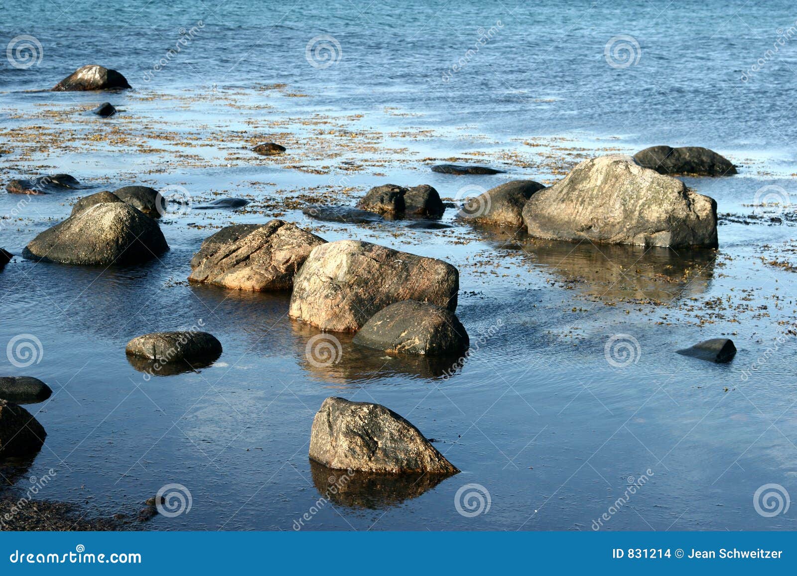 Stones stock photo. Image of denmark, rock, coast, beaches - 831214