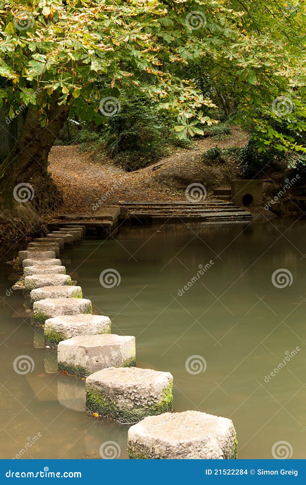 Stones Across the River stock photo. Image of nature - 21522284