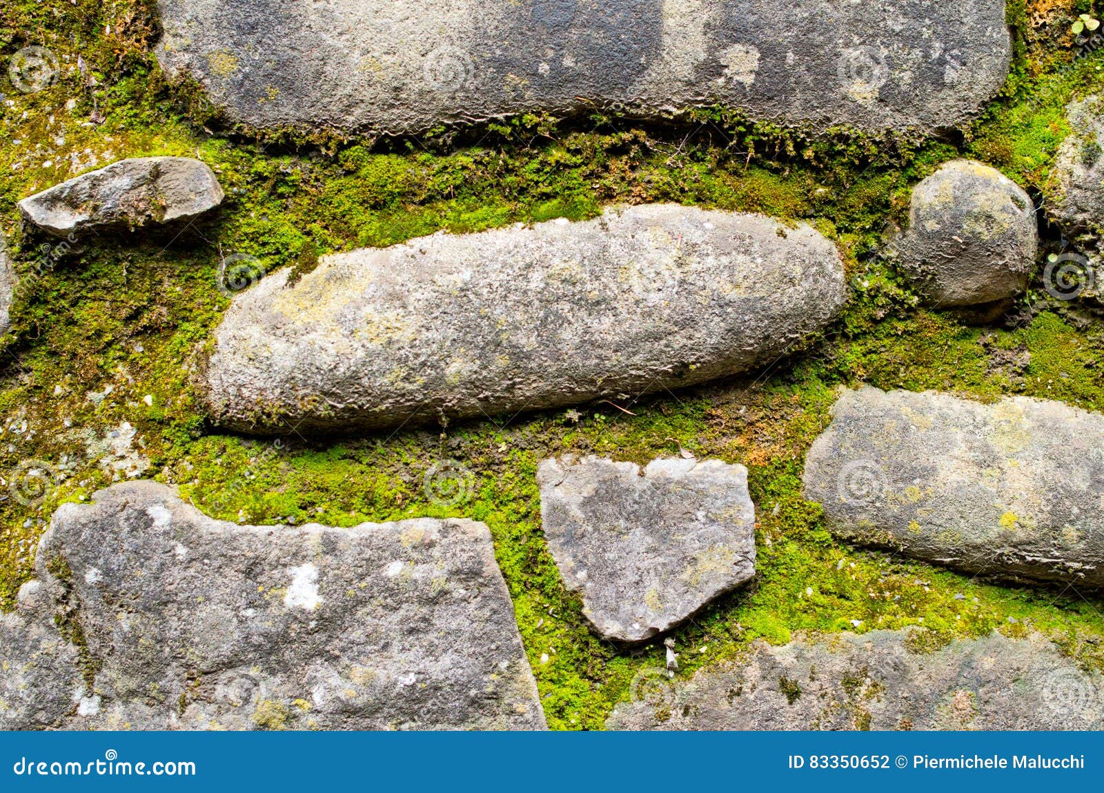 Stones of an Ancient Path and Moss Stock Photo - Image of flora, light ...