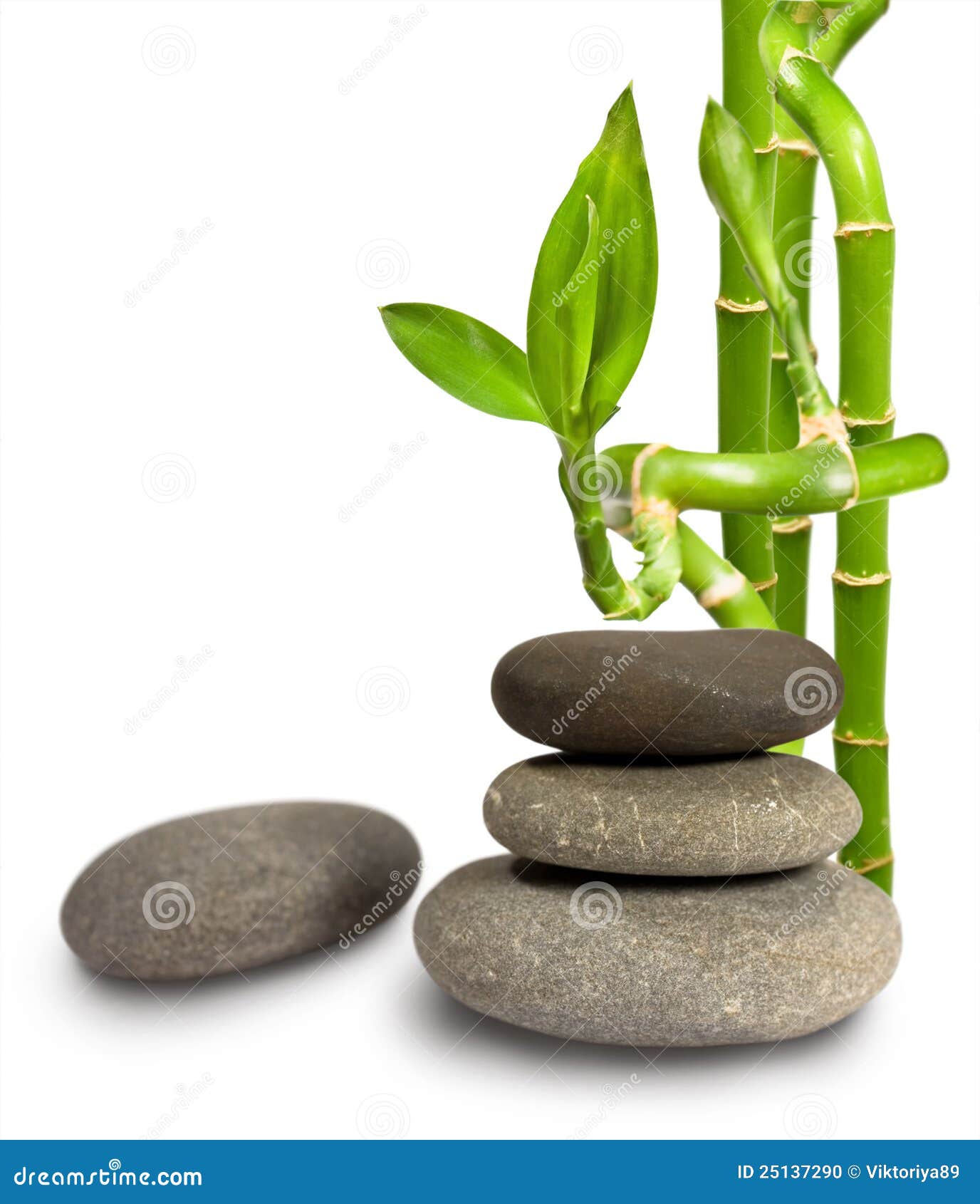 Stones and bamboo stock photo. Image of fresh, relaxation - 25137290