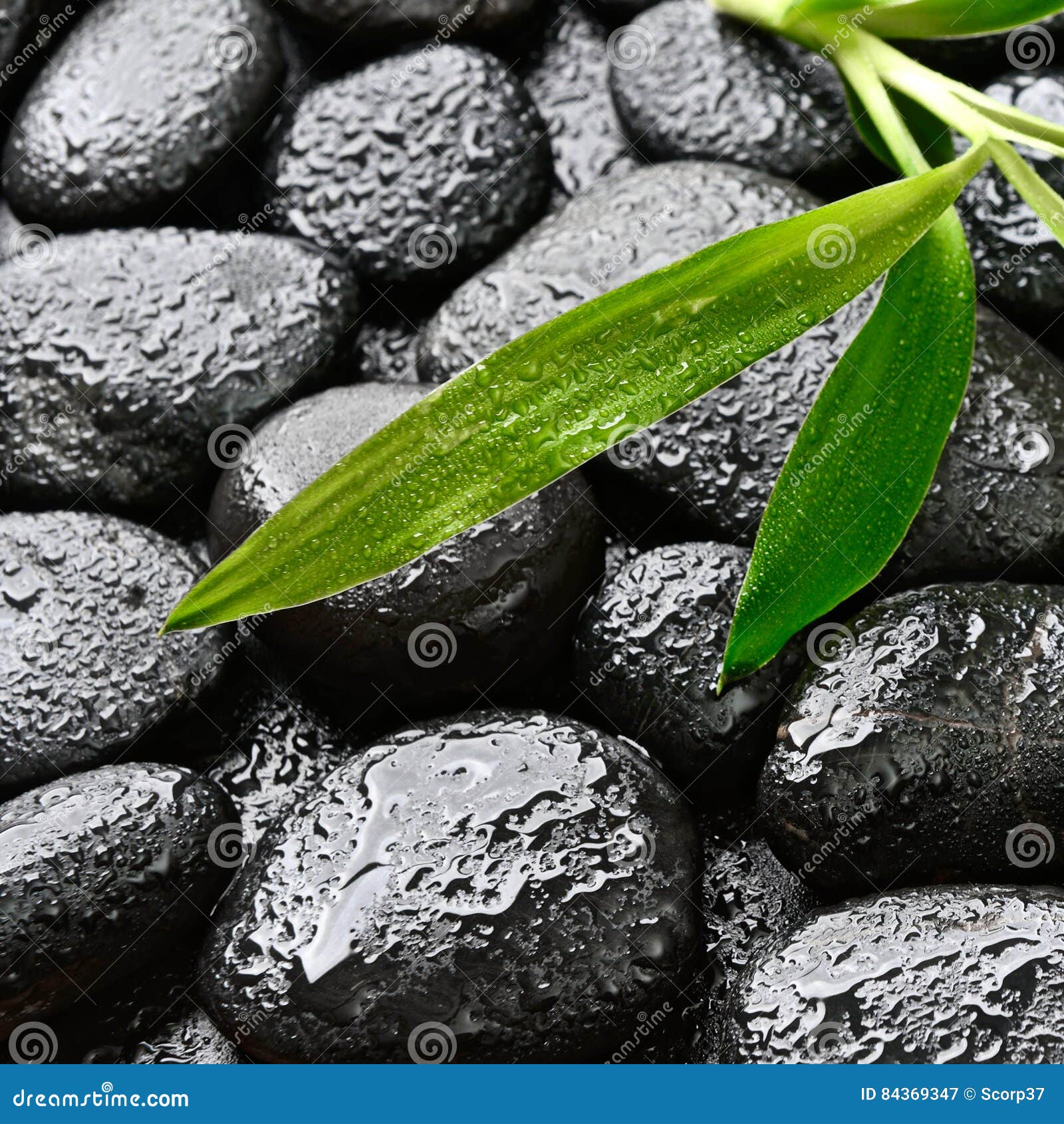 Stones and bamboo stock image. Image of aromatherapy - 84369347