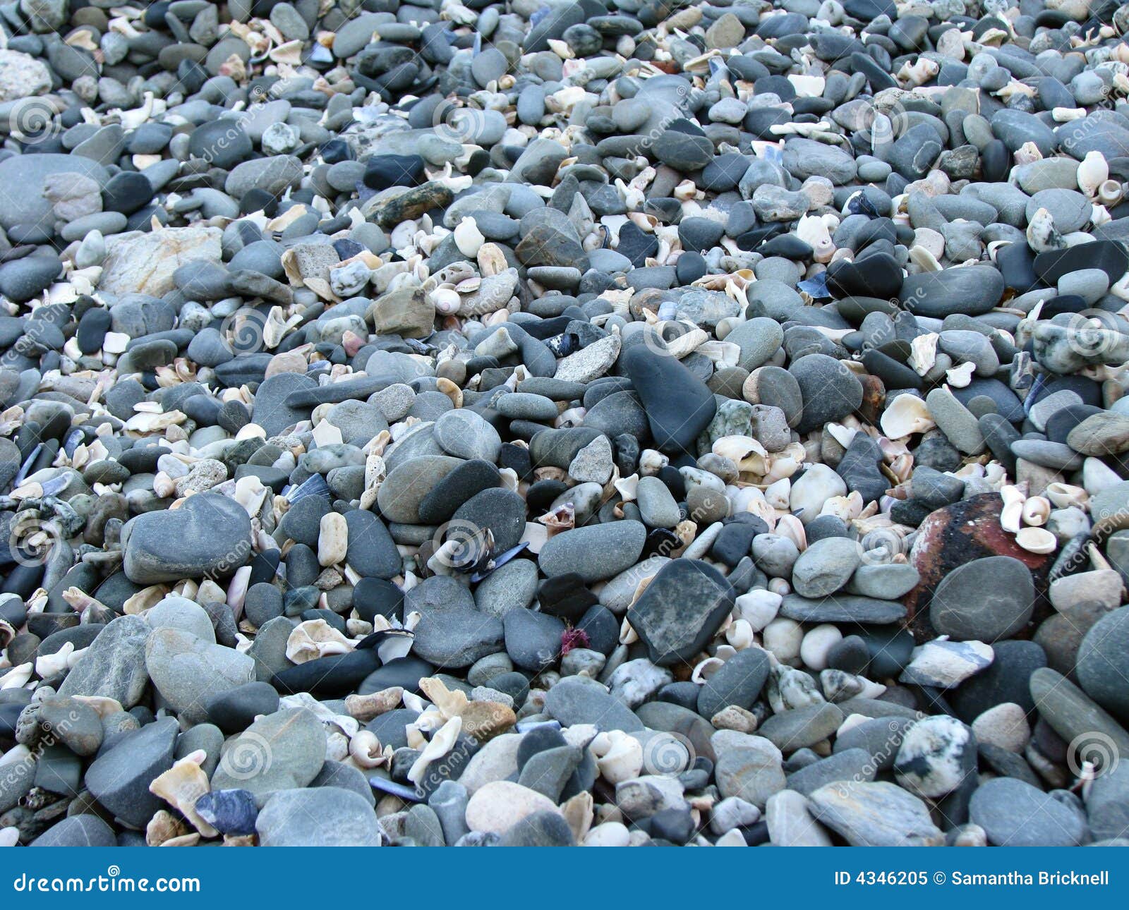 Stones on Beach stock image. Image of rocks, pebbles, beach - 4346205