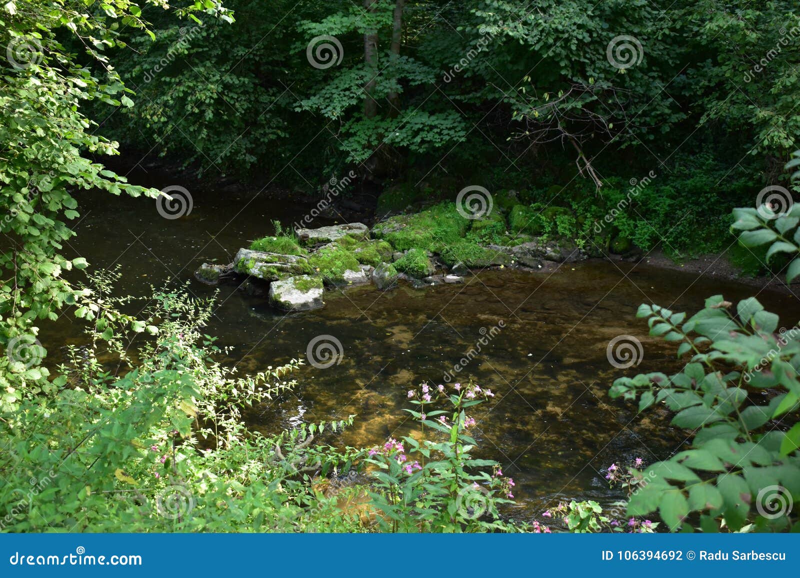 Beautiful riverside stock photo. Image of stones, water - 106394692