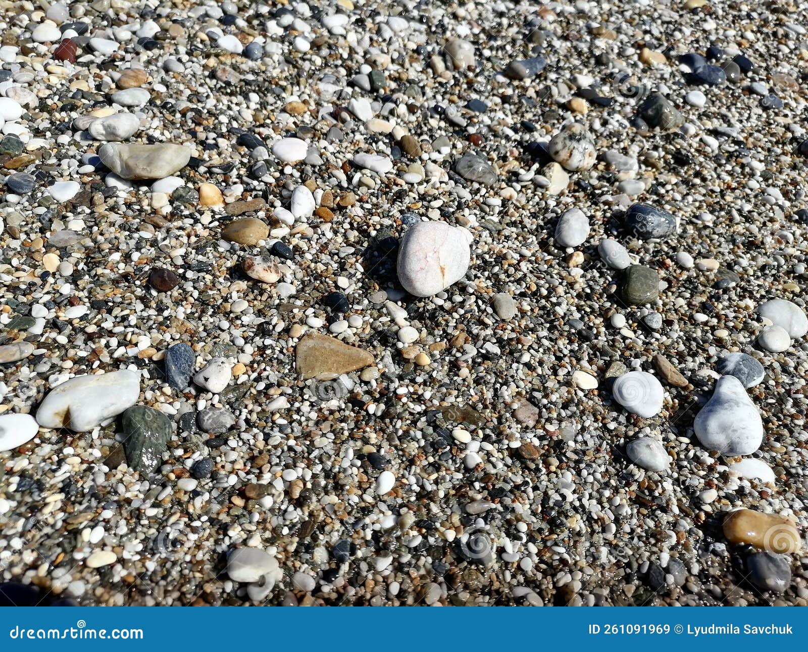 Stones Big and Small on the Seashore Stock Image - Image of wildlife ...