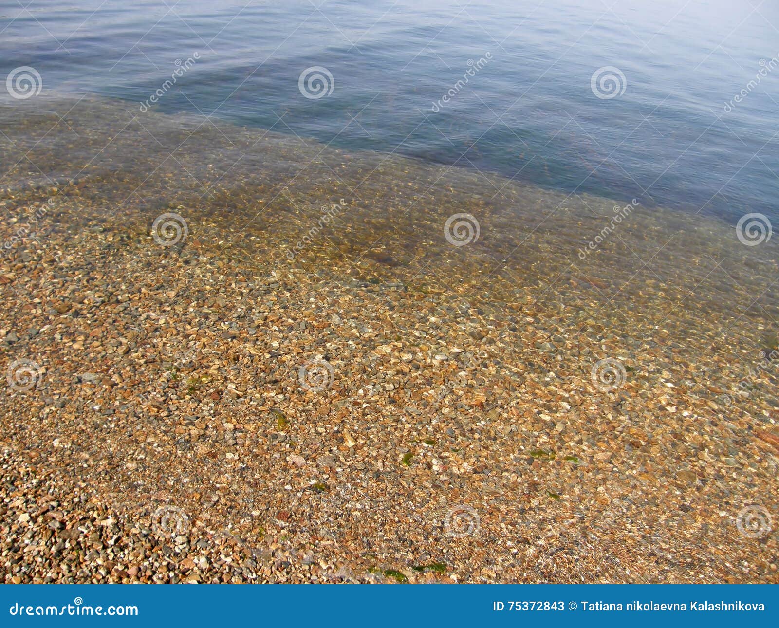 Stones at the Bottom of the Lake. Stock Image - Image of reflection ...