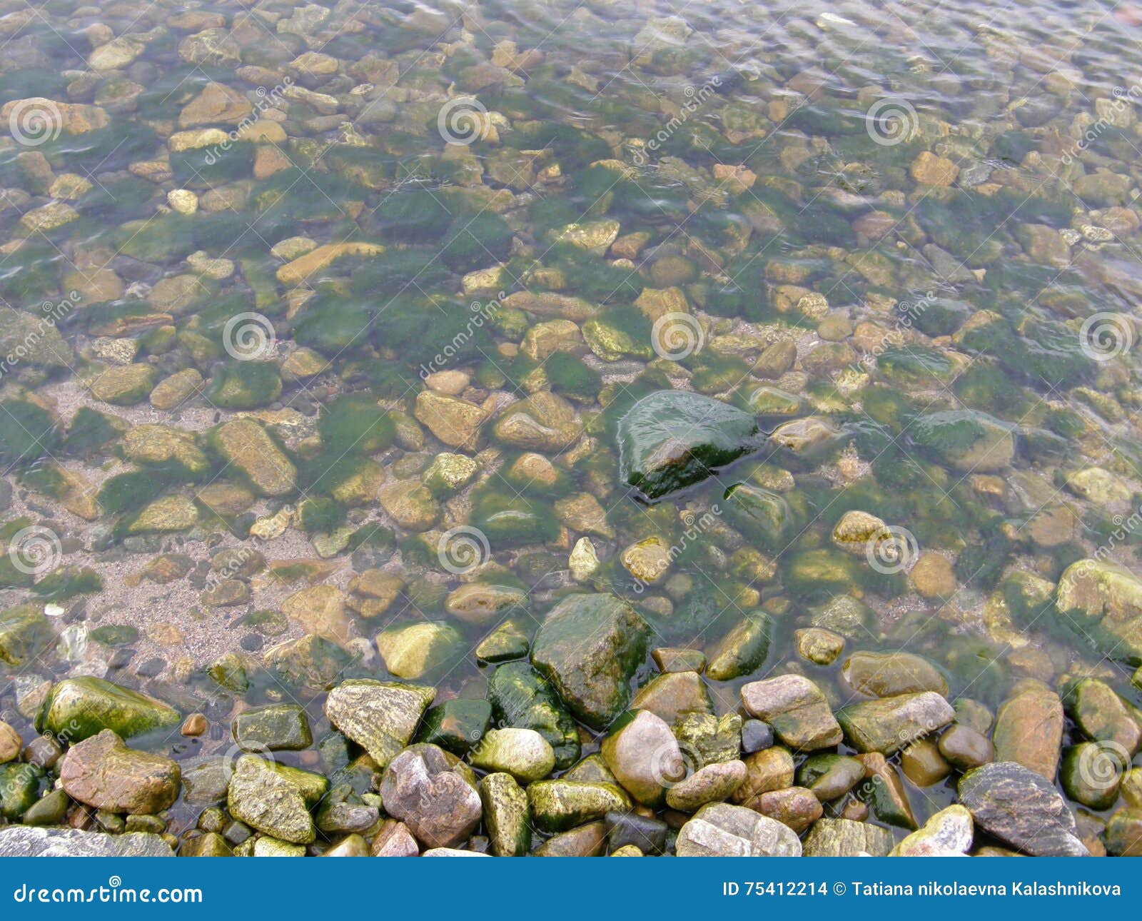 Stones at the Bottom of the Lake. Stock Photo - Image of lake, texture ...