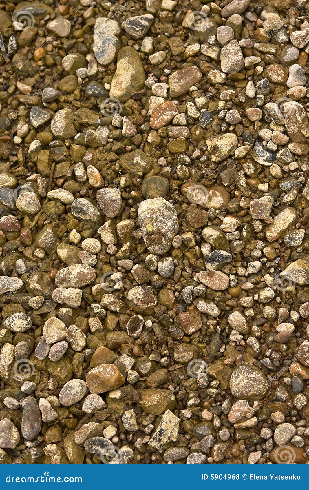Stones at the Bottom of the River Stock Photo - Image of close, stone ...