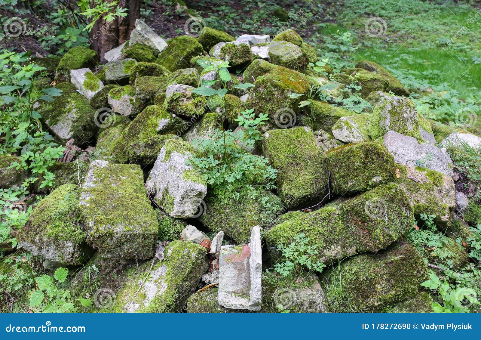 Stones Bricks with Moss Lying Outdoors. Natural Textures Stock Photo ...