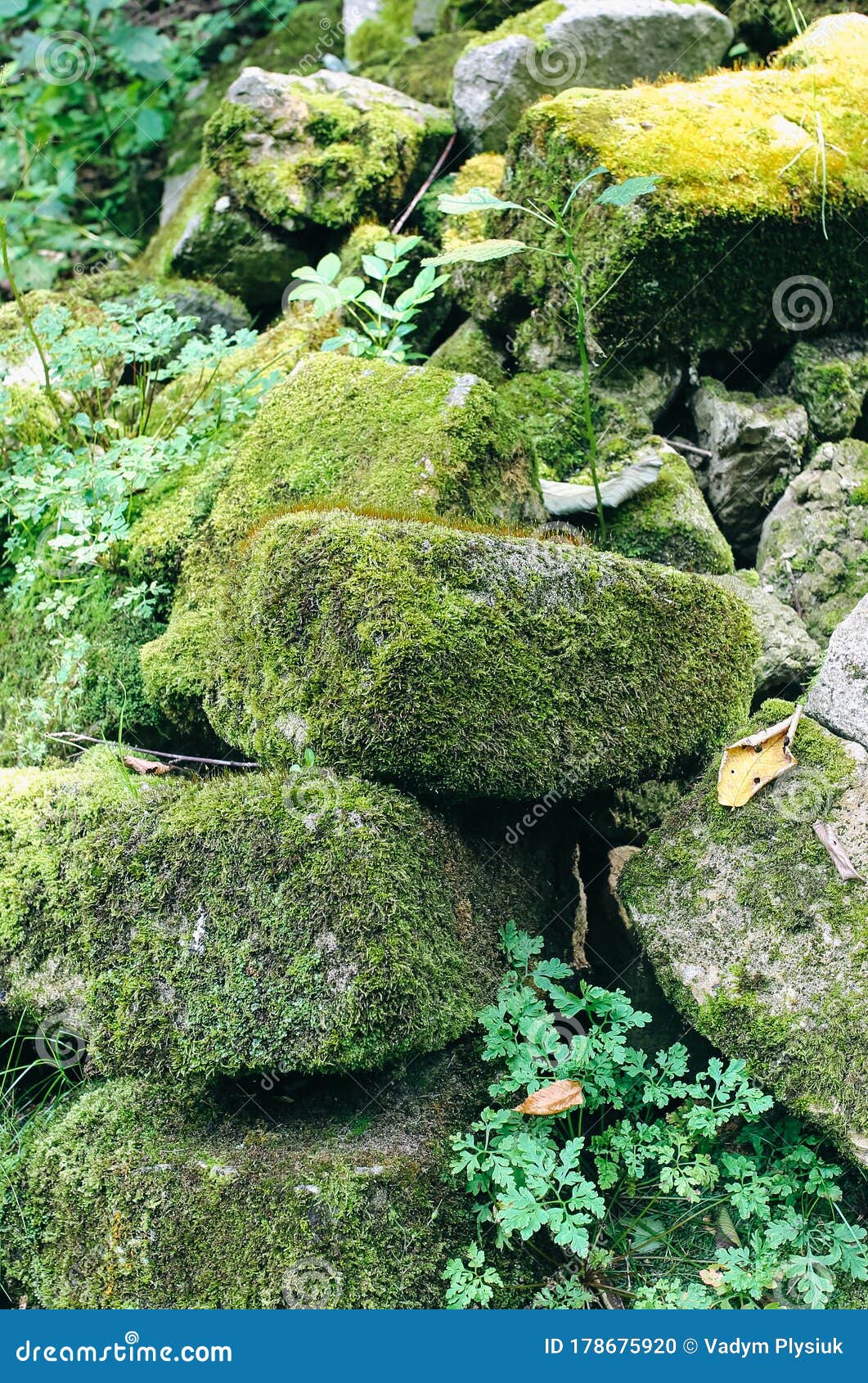 Stones Bricks with Moss Lying Outdoors. Natural Textures Stock Photo ...