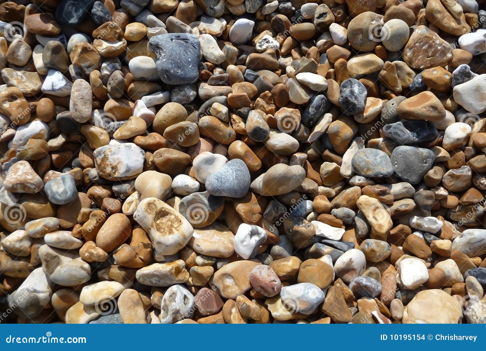 Stones on Brighton Beach stock photo. Image of costal - 10195154
