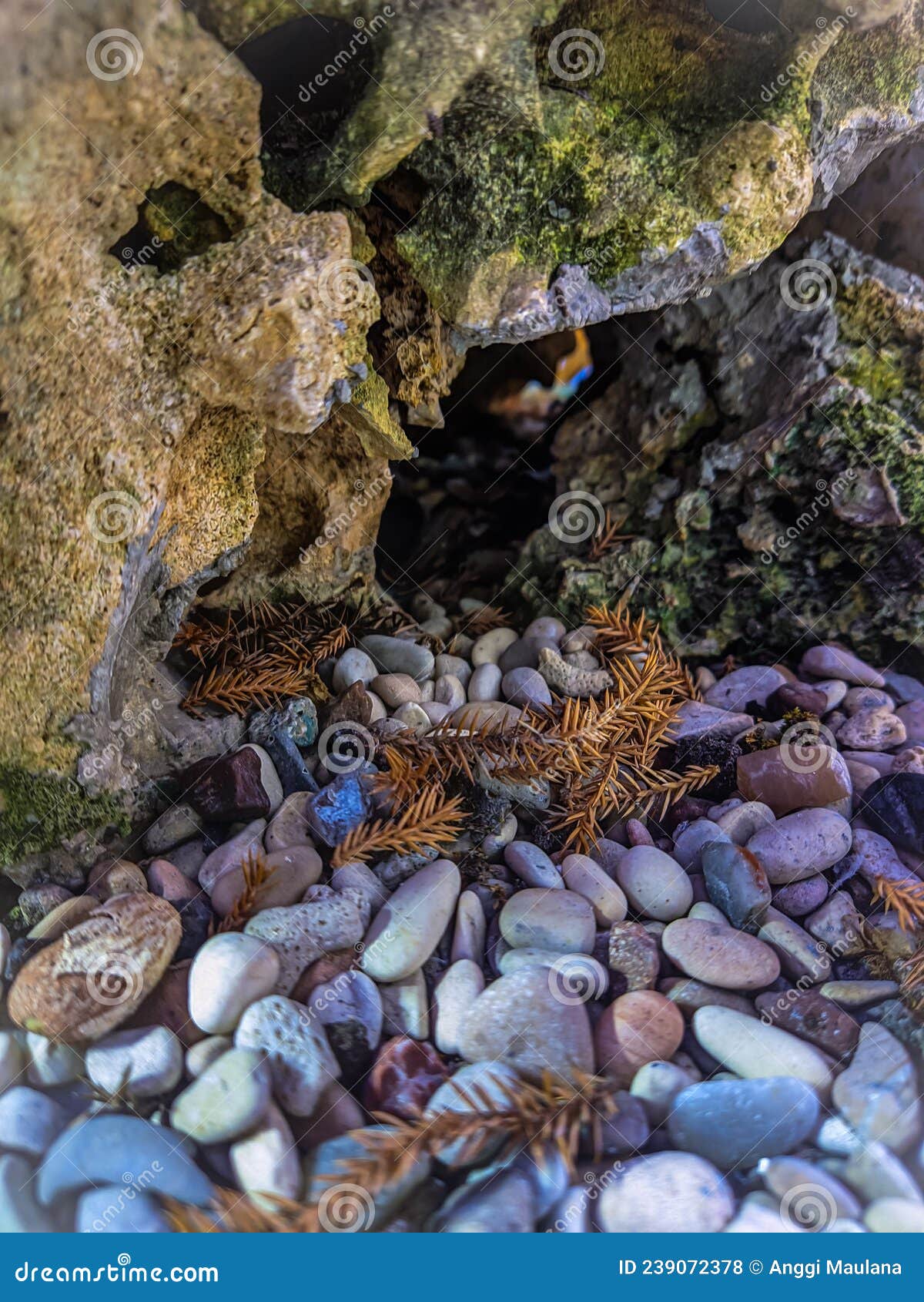Stones cave in the pot stock photo. Image of nature - 239072378