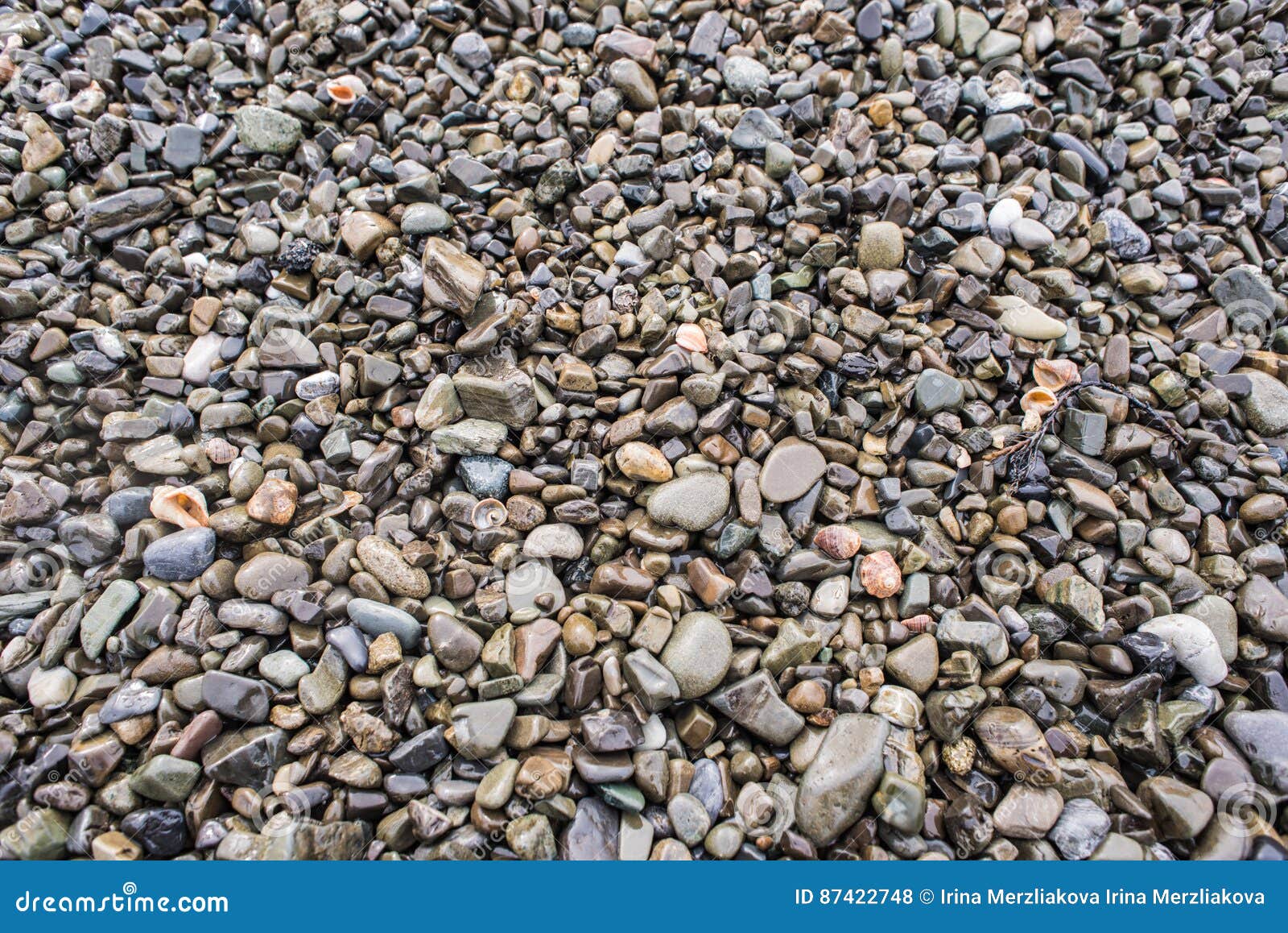 Stones Coast. Stone Beach Background, Texture Stock Photo - Image of ...