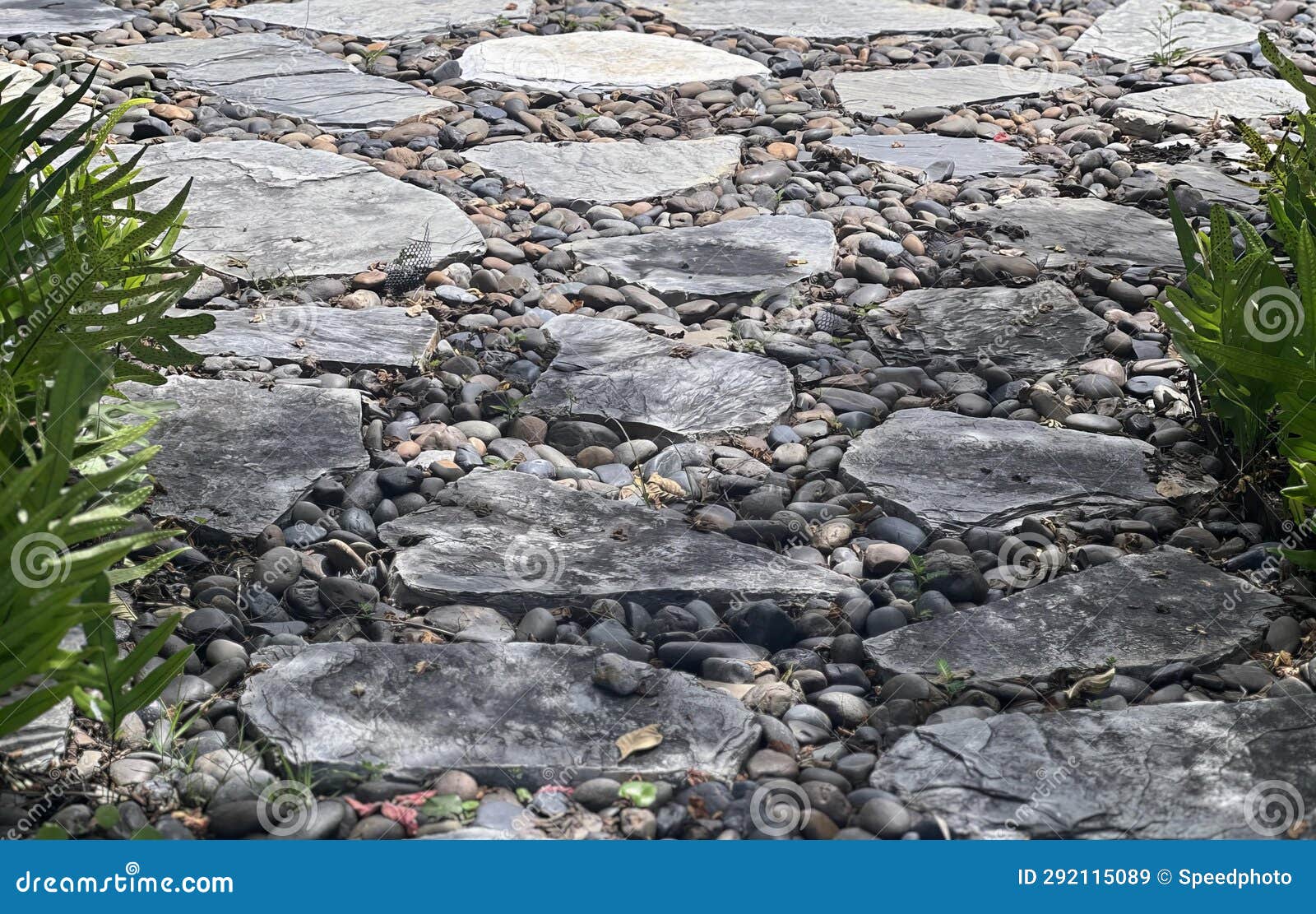 The Stones are a Common Sight in the Area Stock Image - Image of land ...
