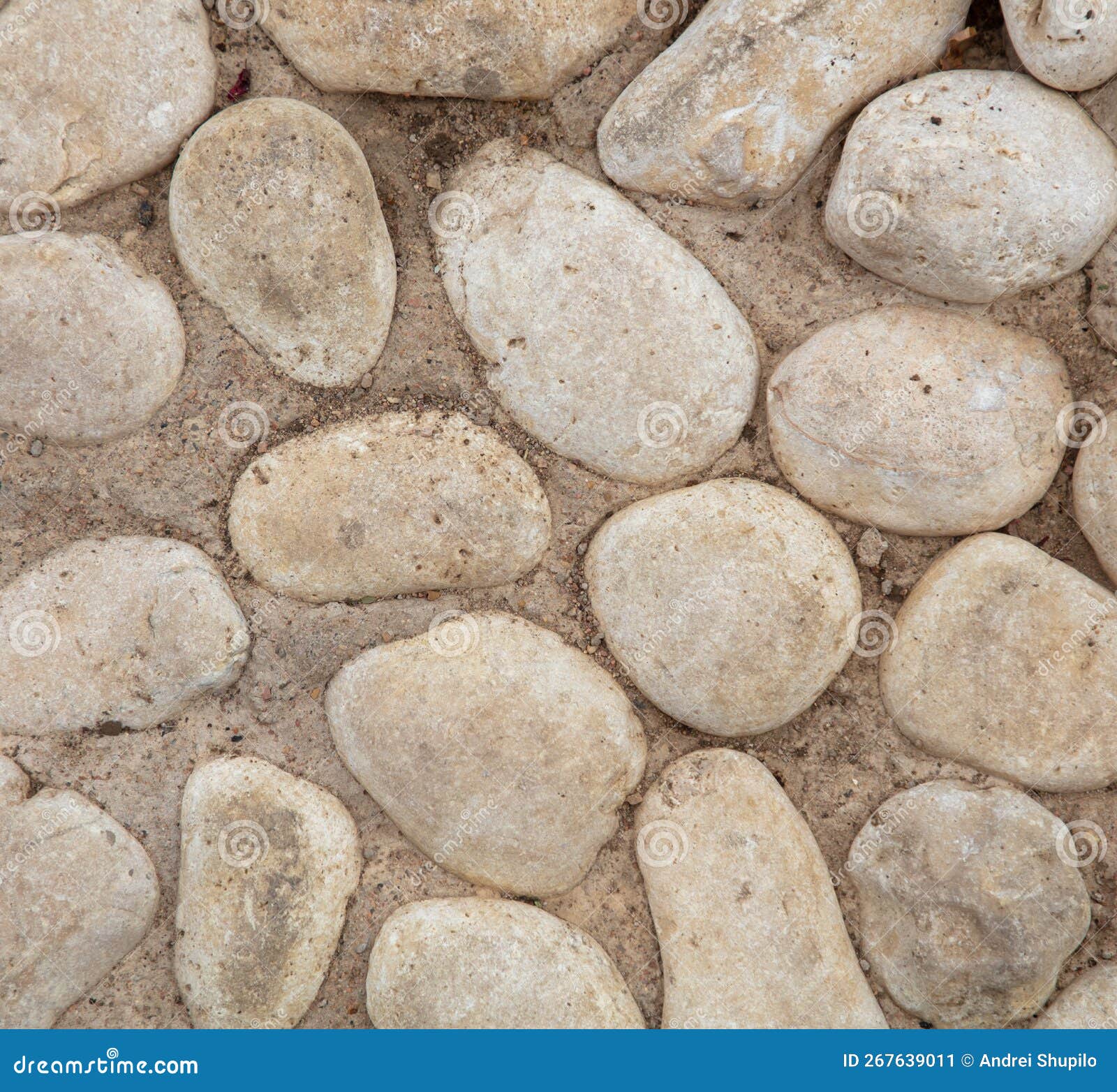 Stones in a Concrete Wall As an Abstract Background. Stock Image ...