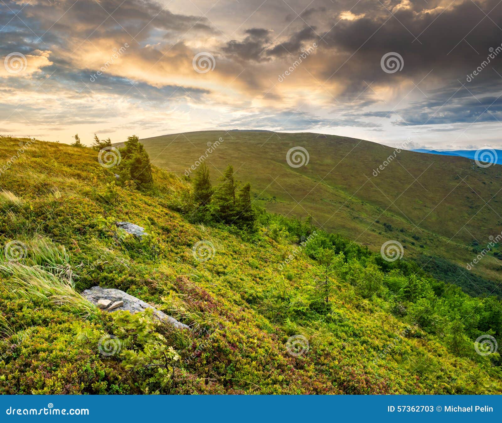 Stones and Conifer Trees on Hillside at Sunrise Stock Image - Image of ...