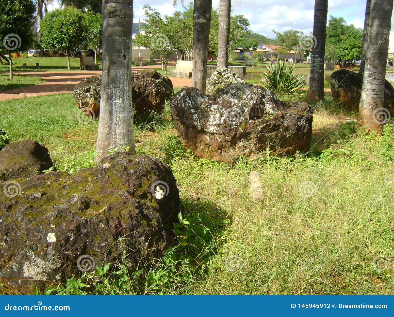 Stones Containing Iron Ore and Coconut Trunk Stock Photo - Image of ...