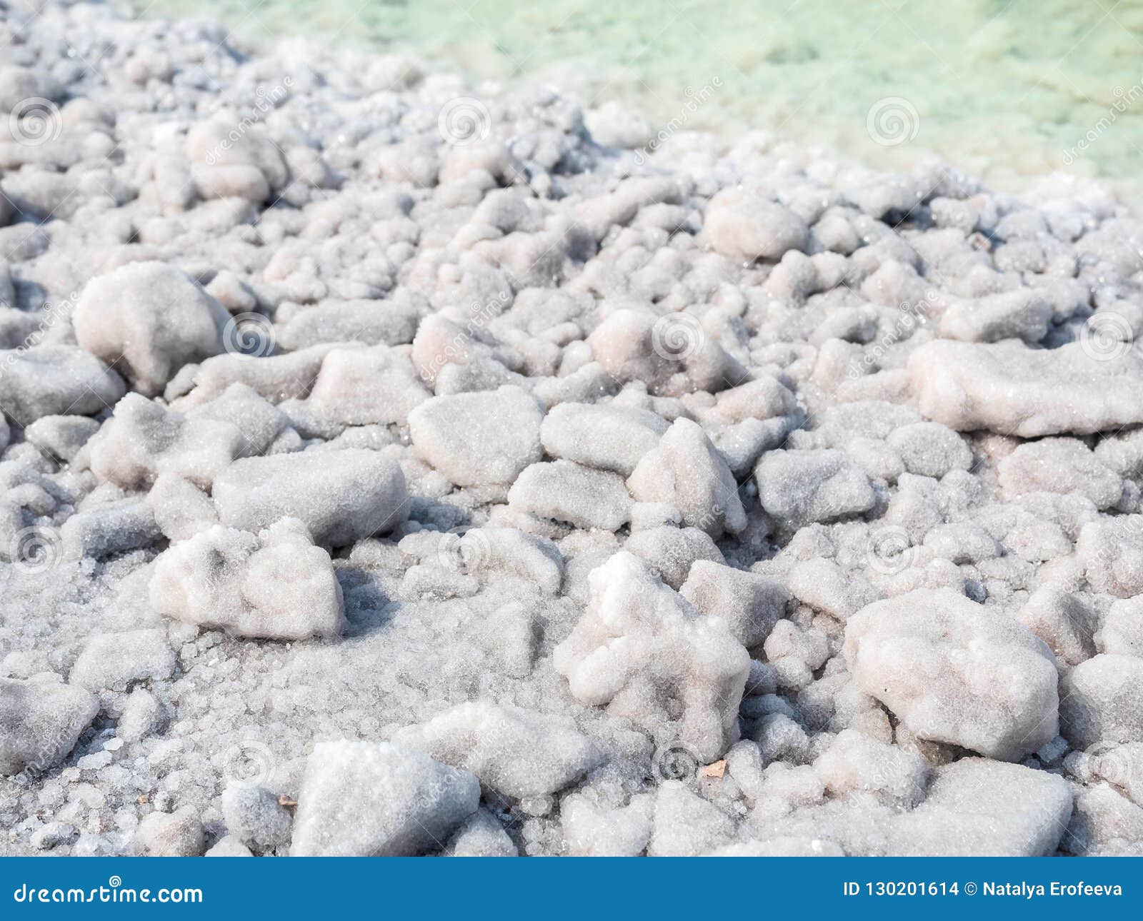 The Stones are Covered with a Crust of Salt on the Shores of the Salar ...