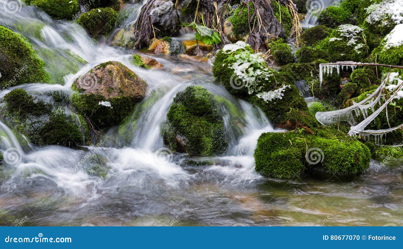 Stones Covered with Moss in Mountain Stream Stock Photo - Image of ...
