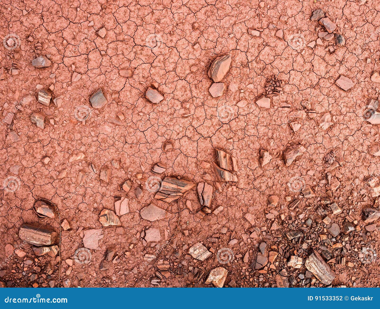 Stones and Cracks on Red Ground Stock Photo - Image of fossil, natural ...