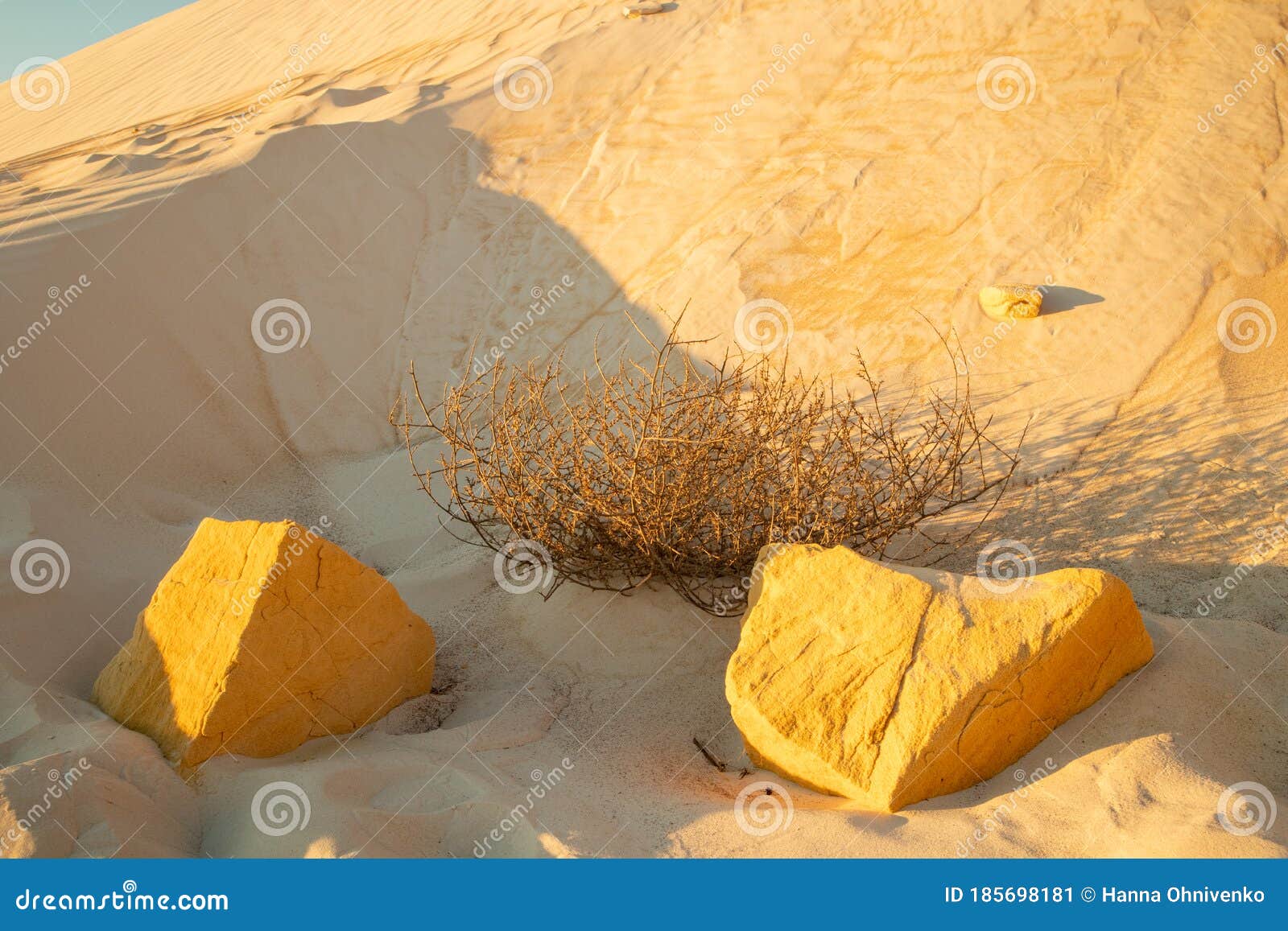 Stones in the Desert on the Sand. Desert Landscape. Stock Image - Image ...
