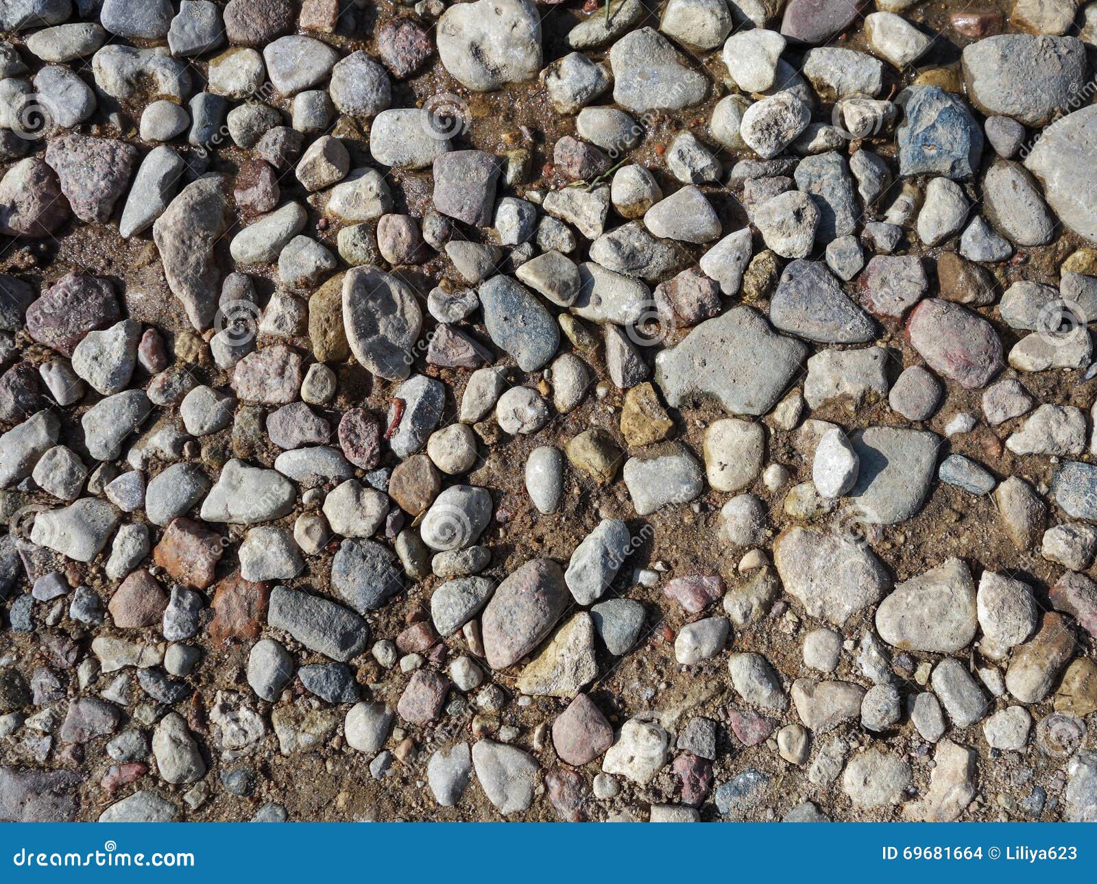 Stones of Different Shapes on the Wet Ground Stock Photo - Image of ...
