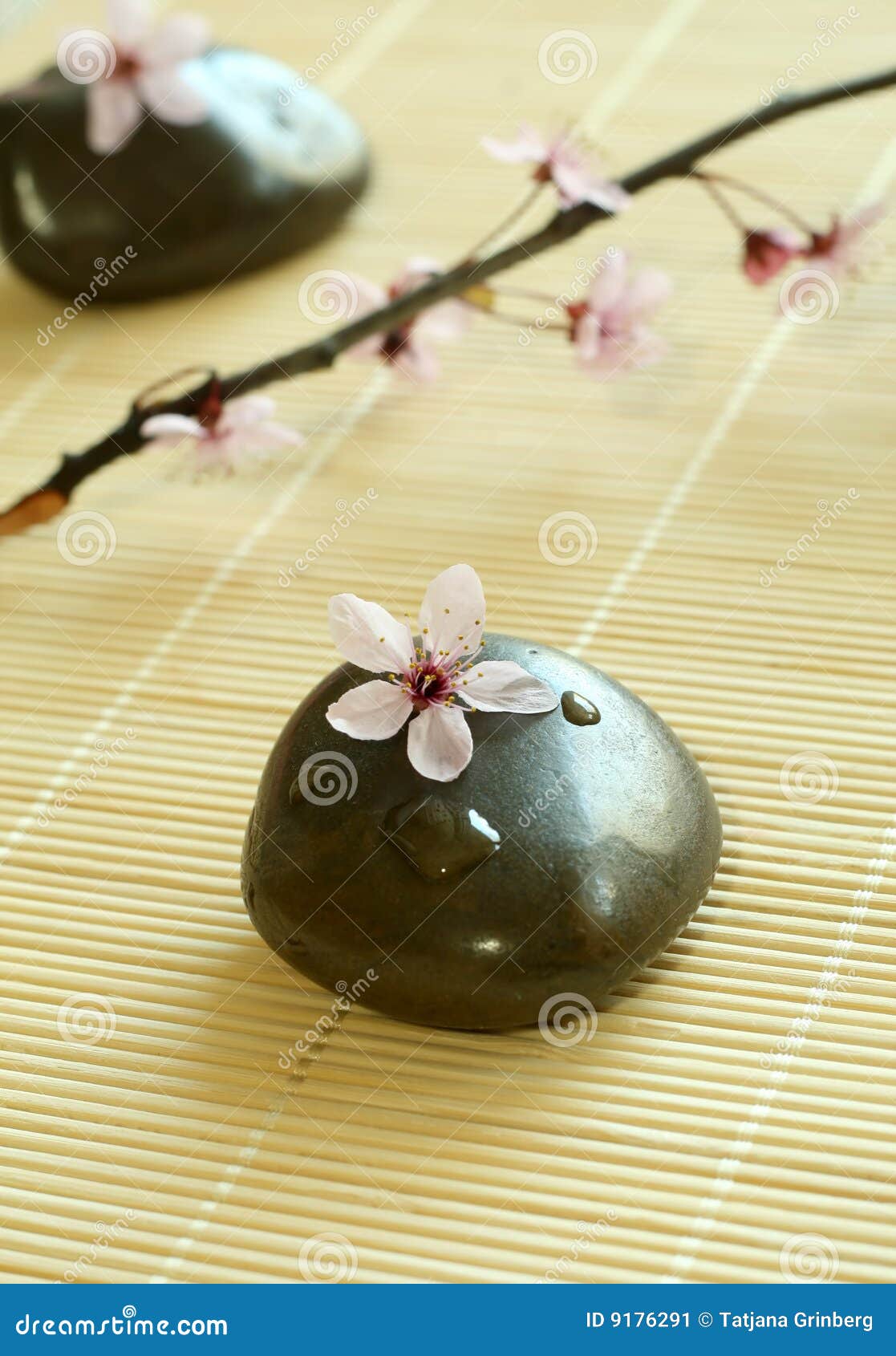 Stones with Drops of Water and Flower Stock Image - Image of health ...