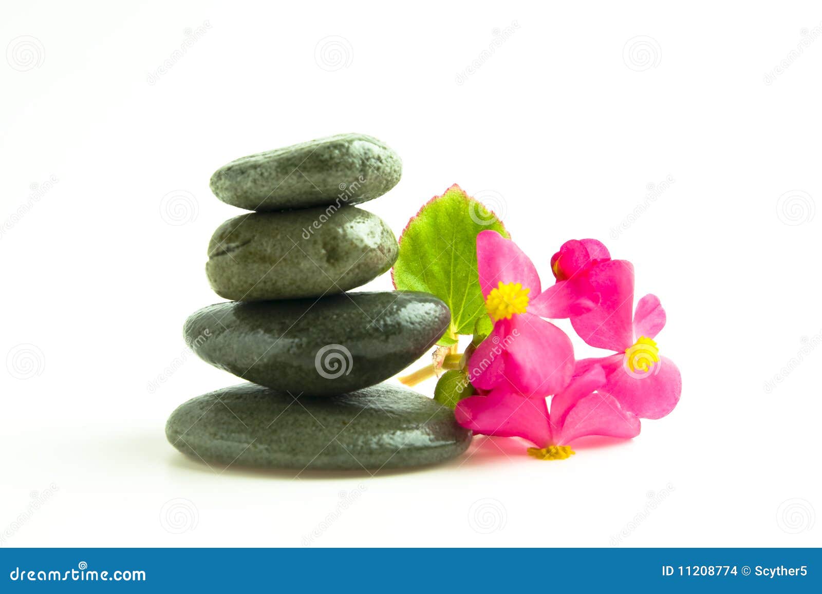 Stones with flower stock photo. Image of green, stones - 11208774