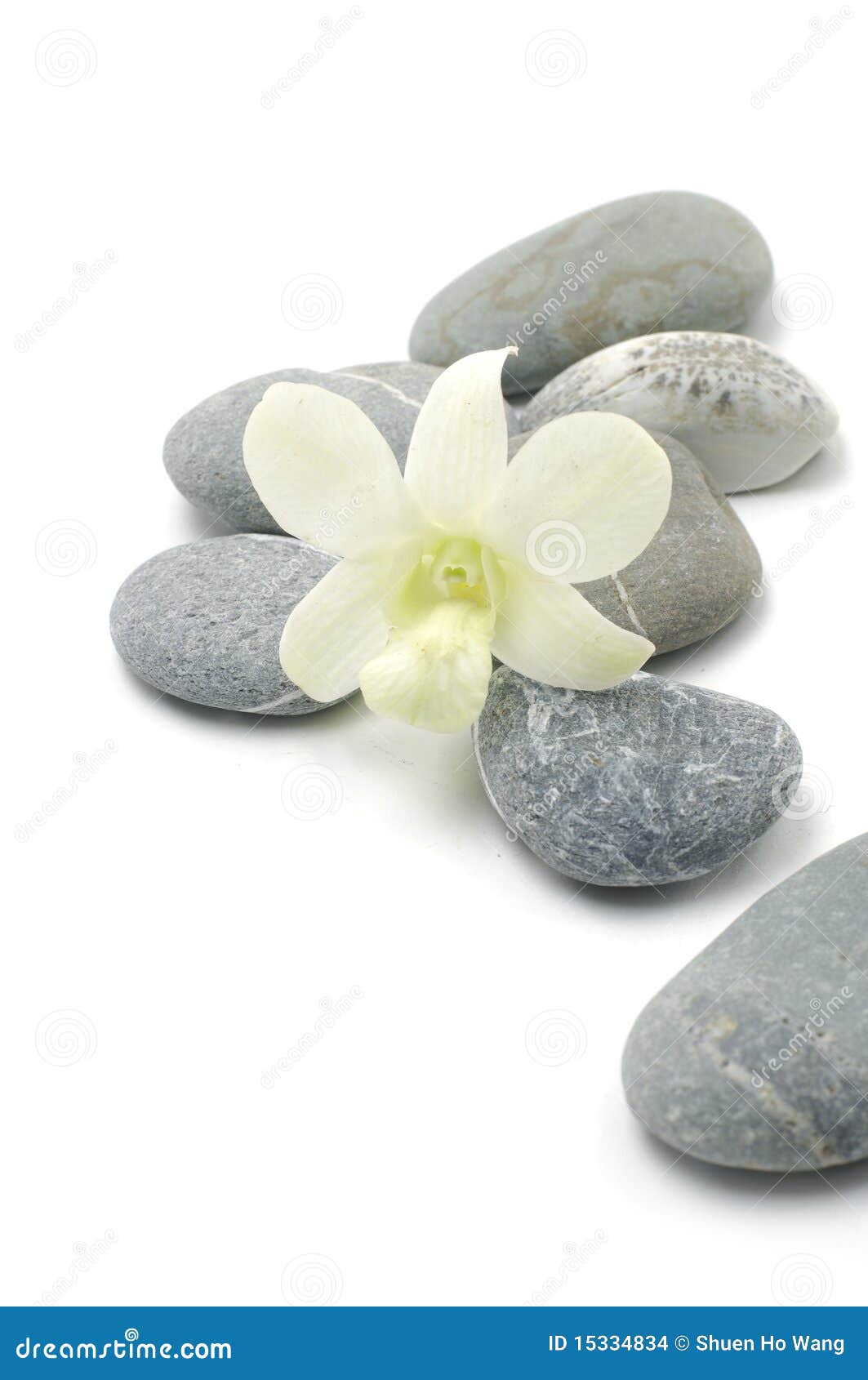 Stones and flower stock photo. Image of massaging, lifestyle - 15334834