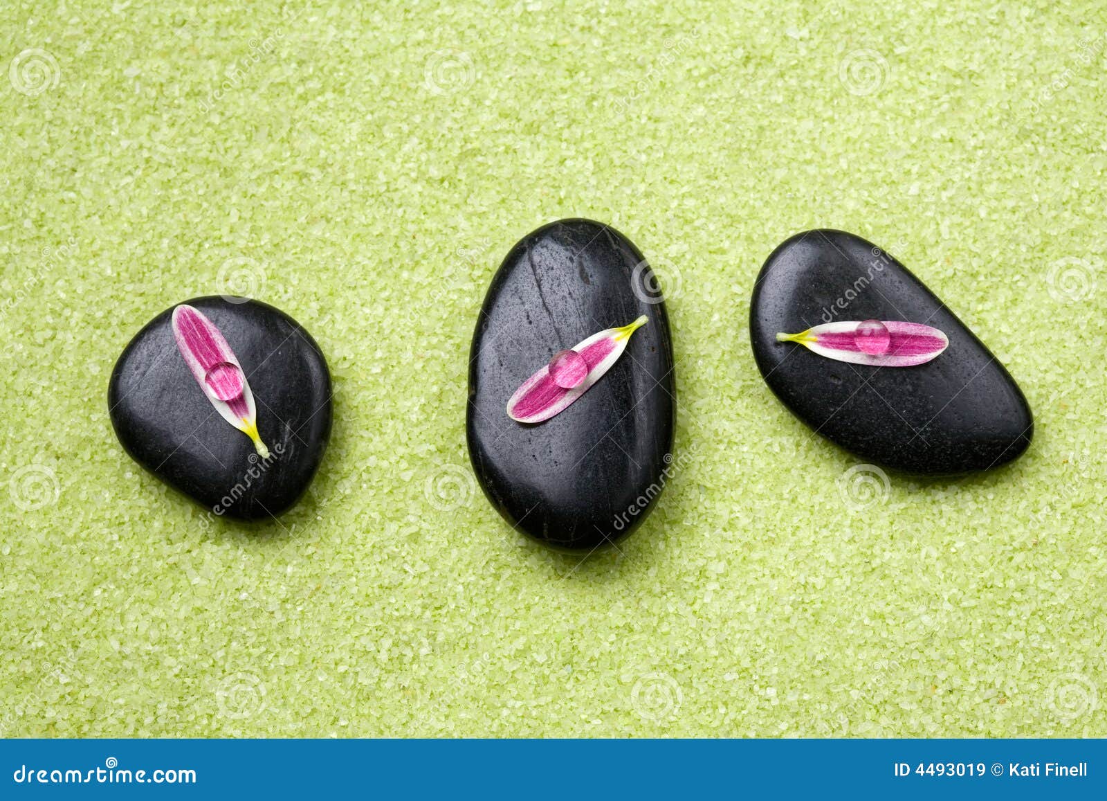 Stones with flower petals stock image. Image of rock, fresh - 4493019