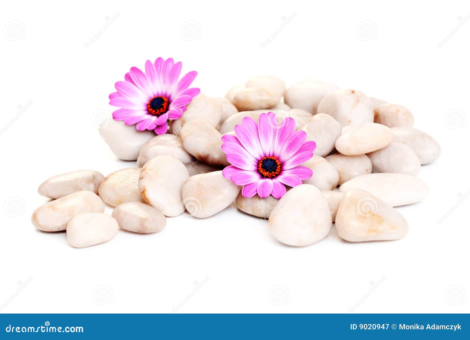 Stones and flowers stock image. Image of relax, pebble - 9020947