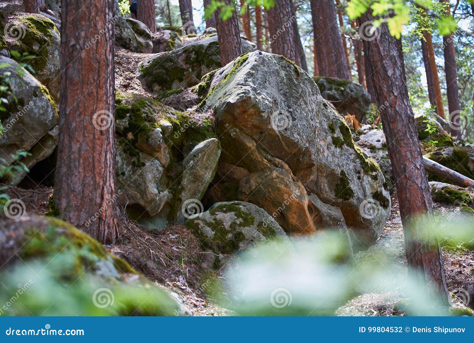 Stones in the forest stock photo. Image of landscape - 99804532