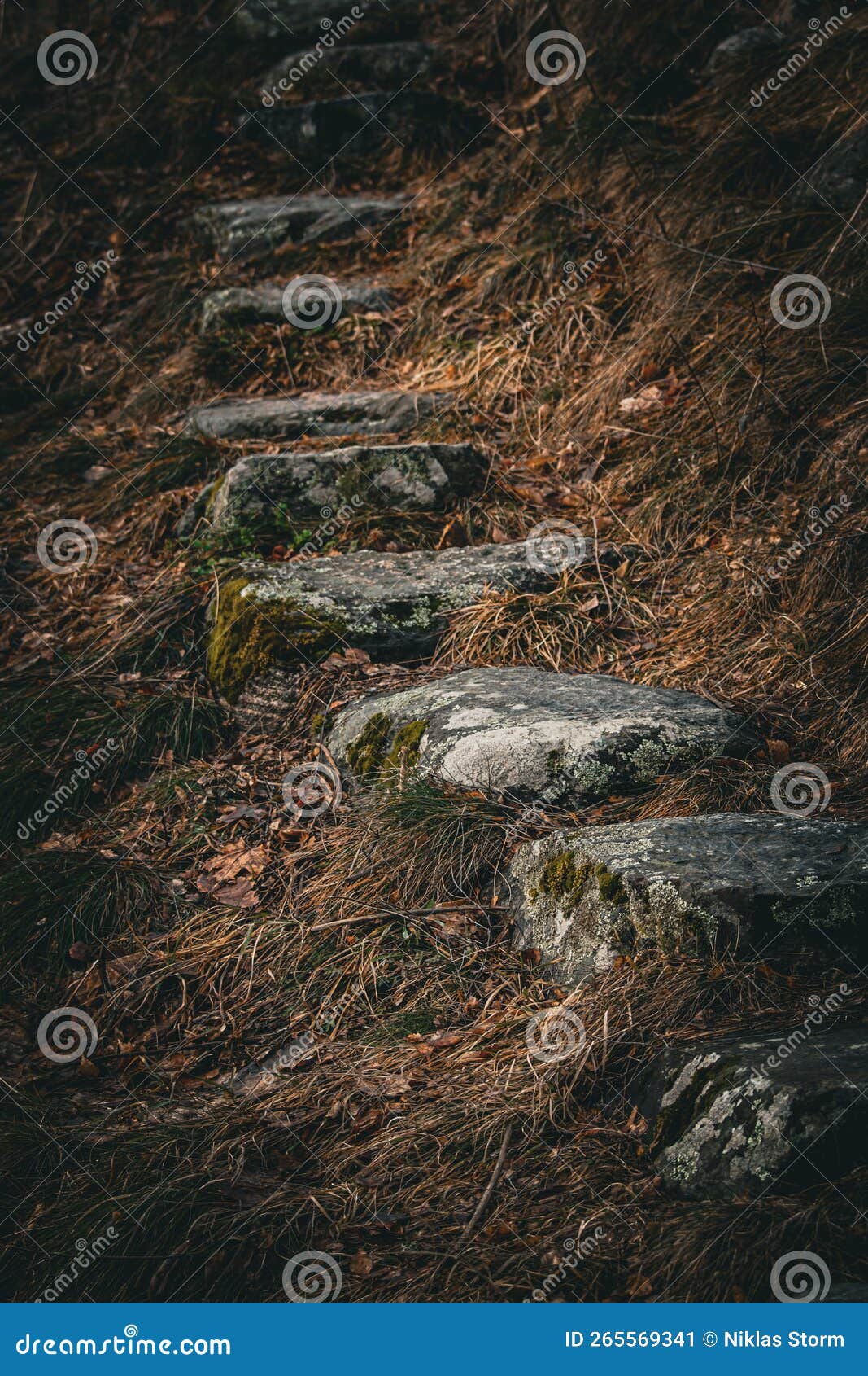 Stones that Form Steps on a Hill Stock Image - Image of weather ...